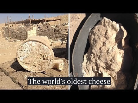 The world's oldest cheese - Dining and Cooking