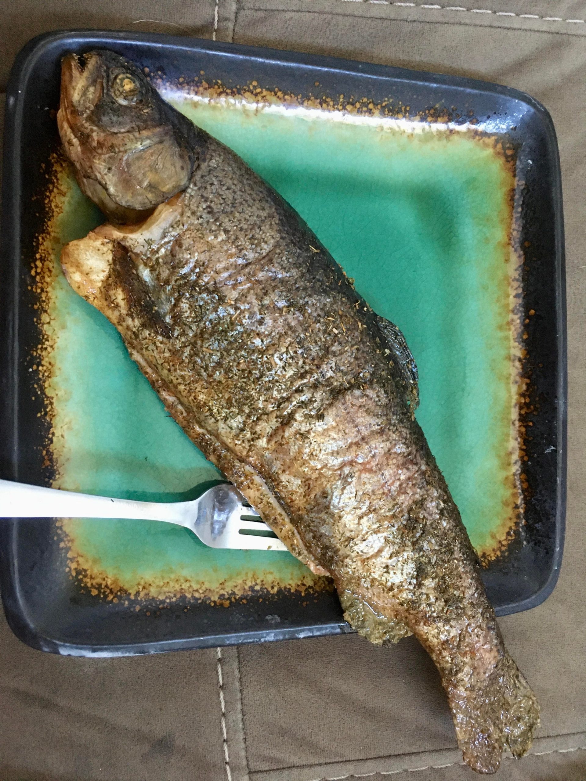 Learning about trout! - Dining and Cooking