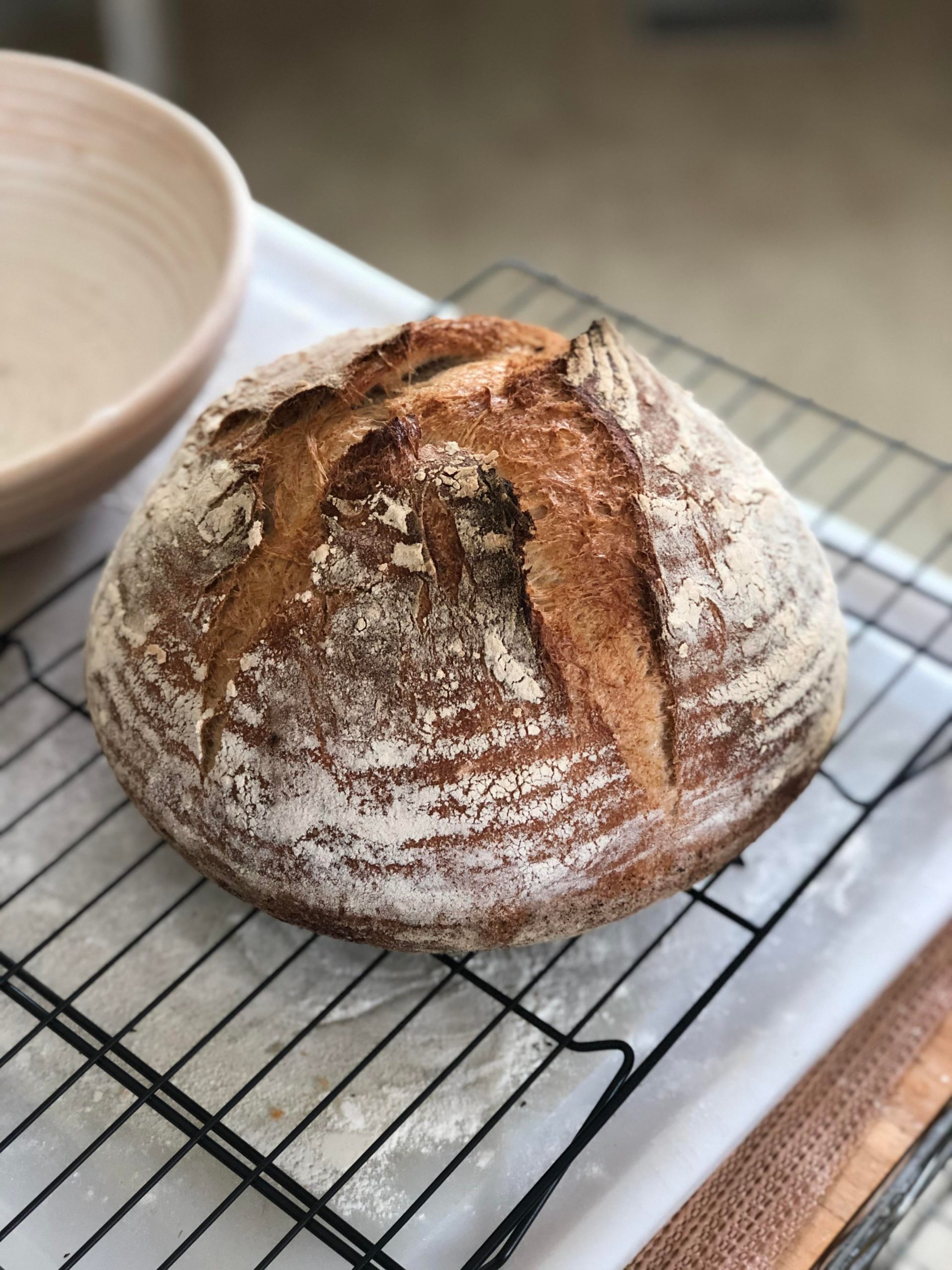 Pain de campagne fresh out of the oven - Dining and Cooking