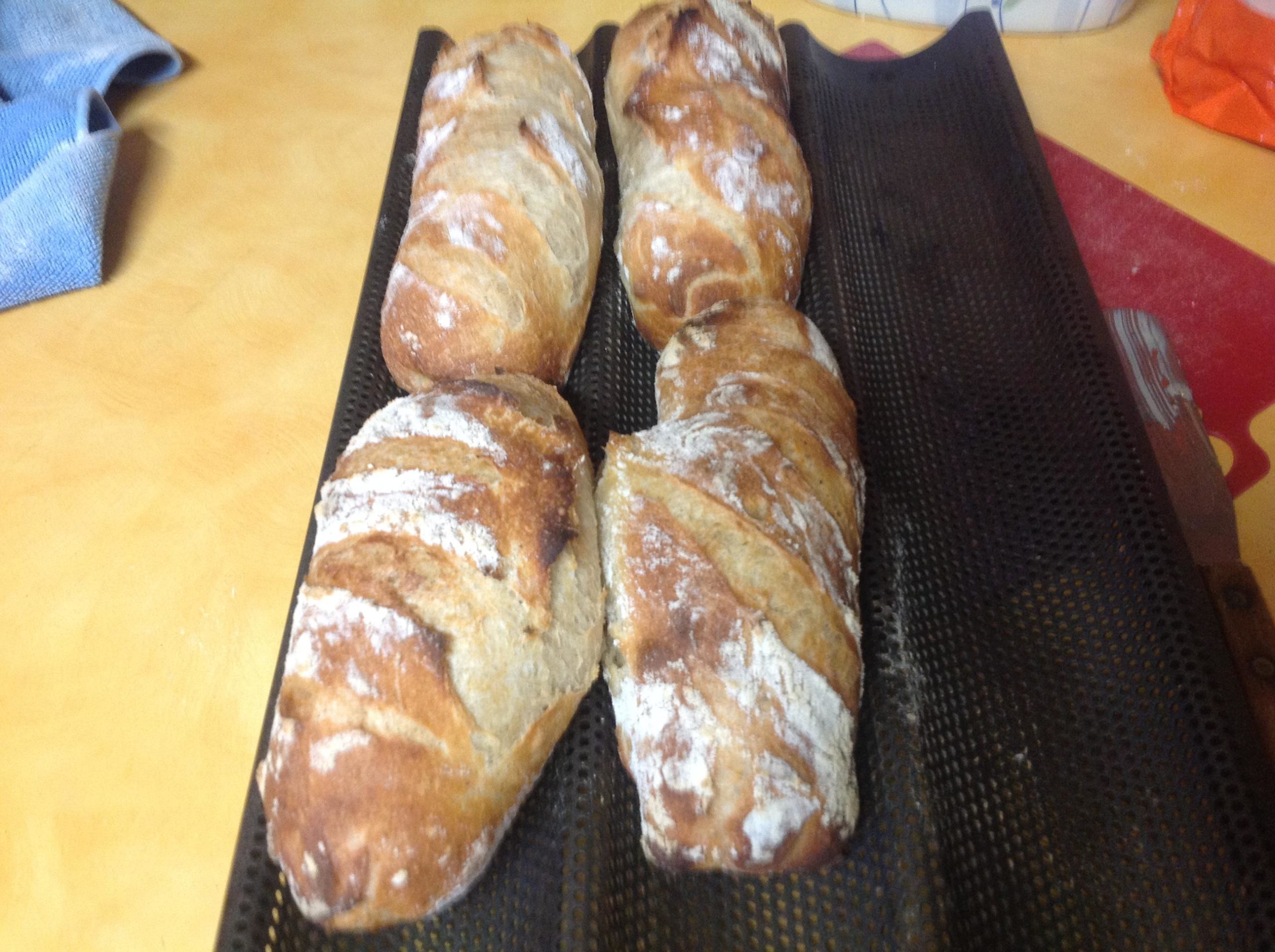 Finally getting my shaping and slashing under control. KA bread flour ...