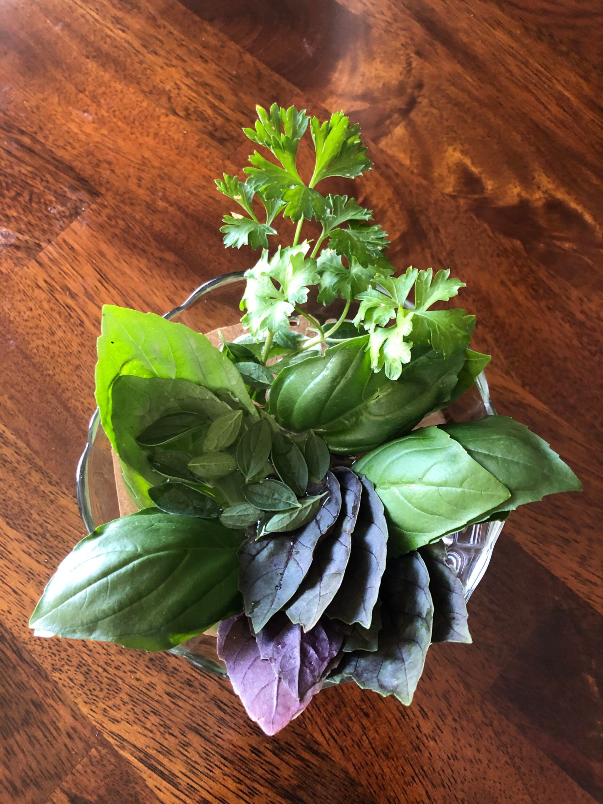 What a cute lil harvest of Sweet Basil, Purple Basil, Italian Oregano ...