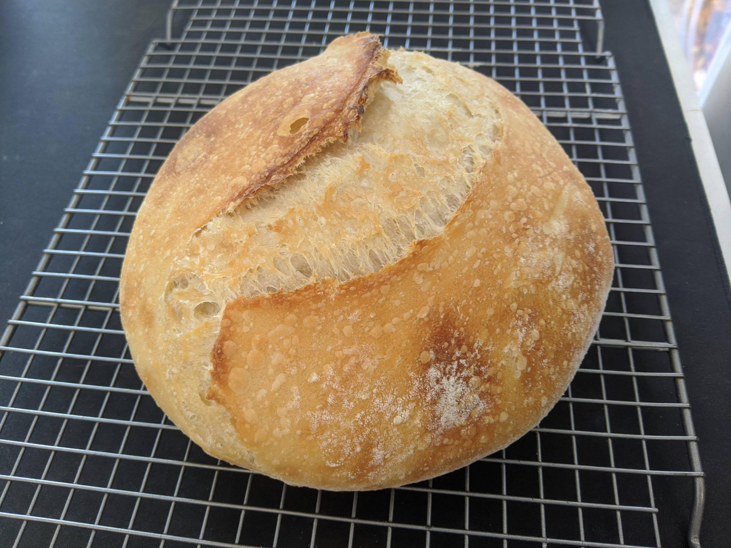 Capybara bread passing thru your timeline to make you happy (not mine ...