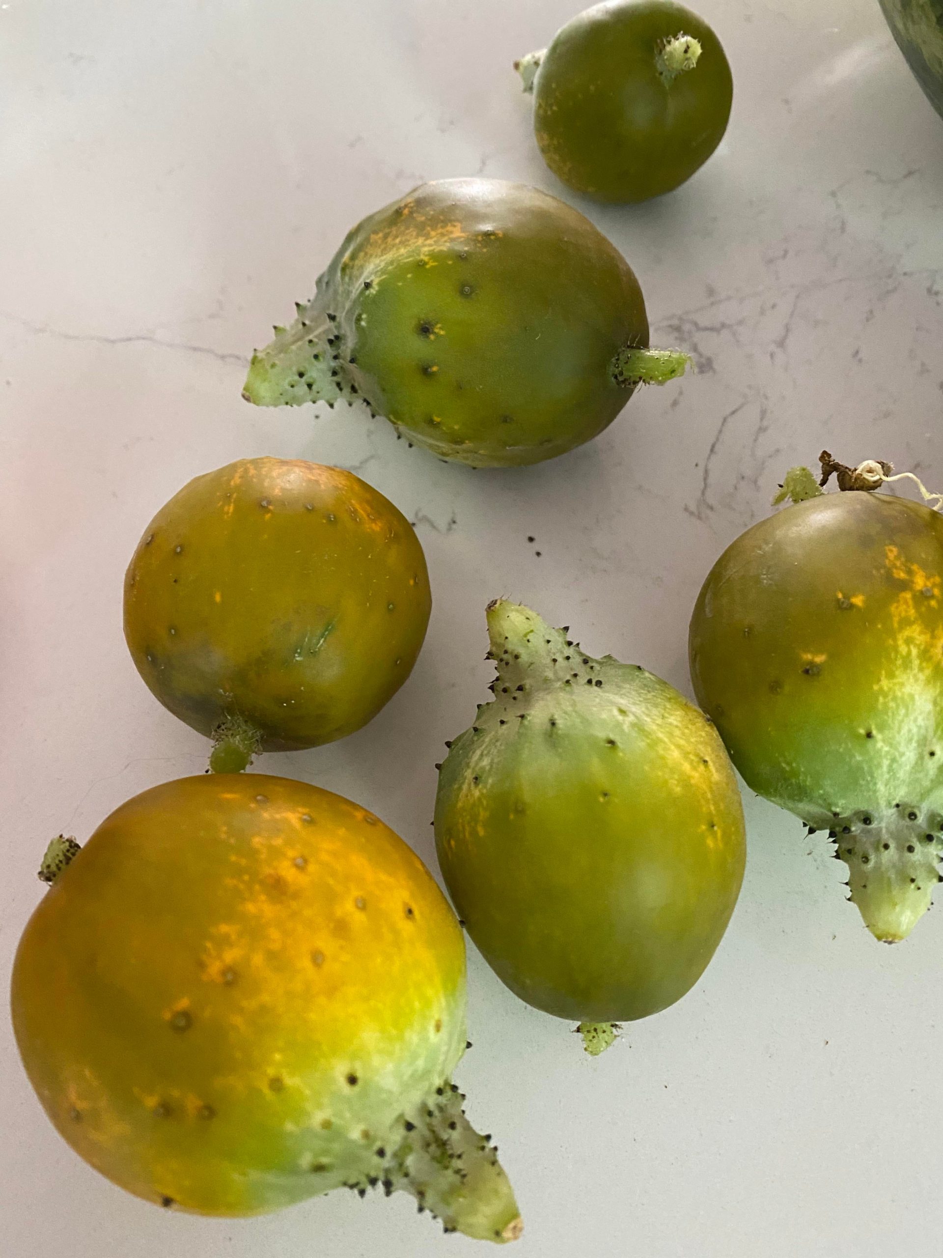 Mutant Cucumbers - Dining and Cooking