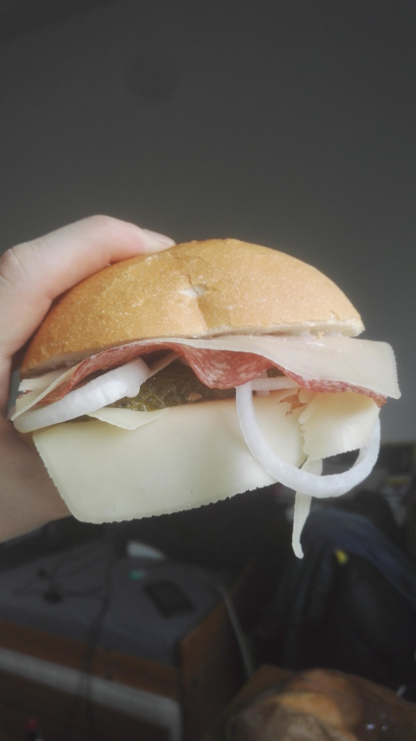 This bad boy: Leerdammer Cheese, salami, pickles, onion slice, aioli ...