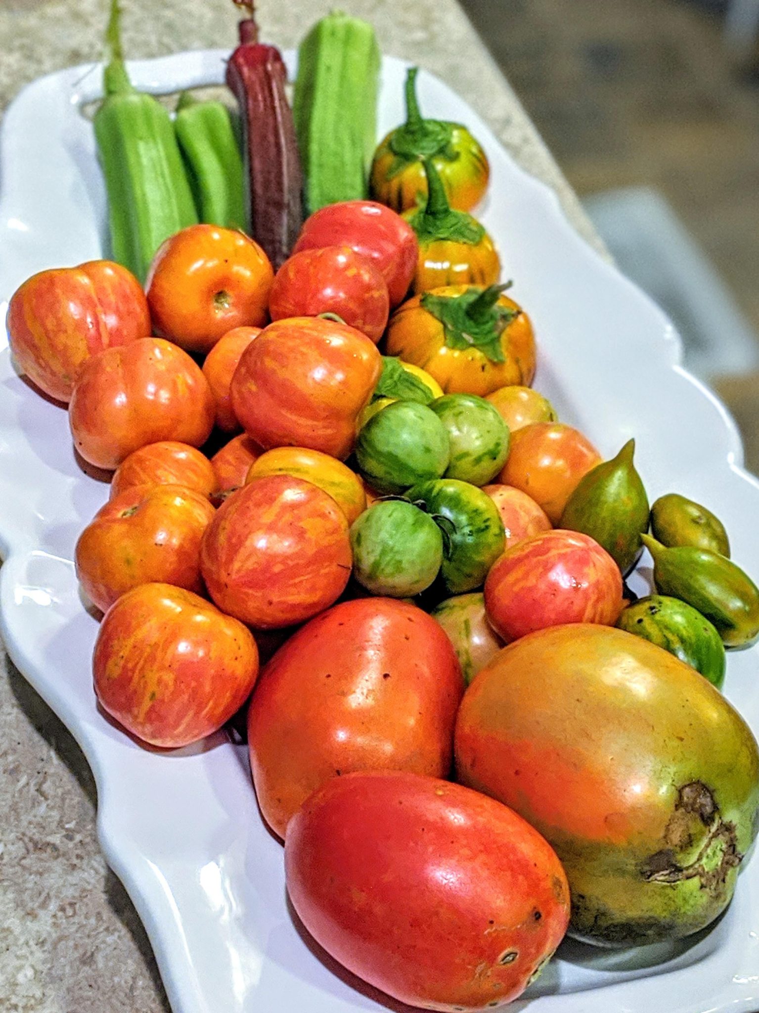 First Harvest Of Sun Berries - Dining and Cooking