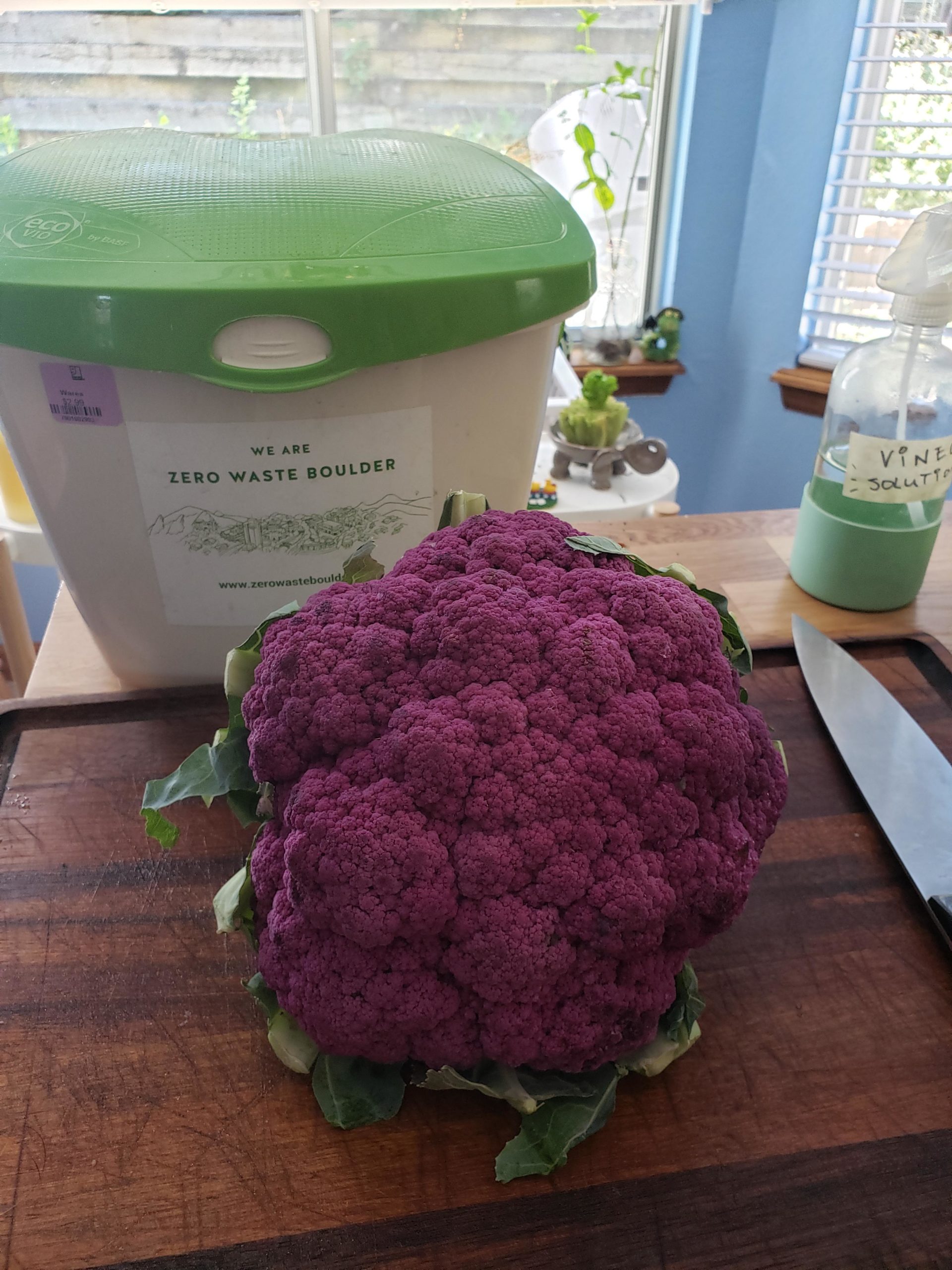absolute unit of purple cauliflower 💜 - Dining and Cooking