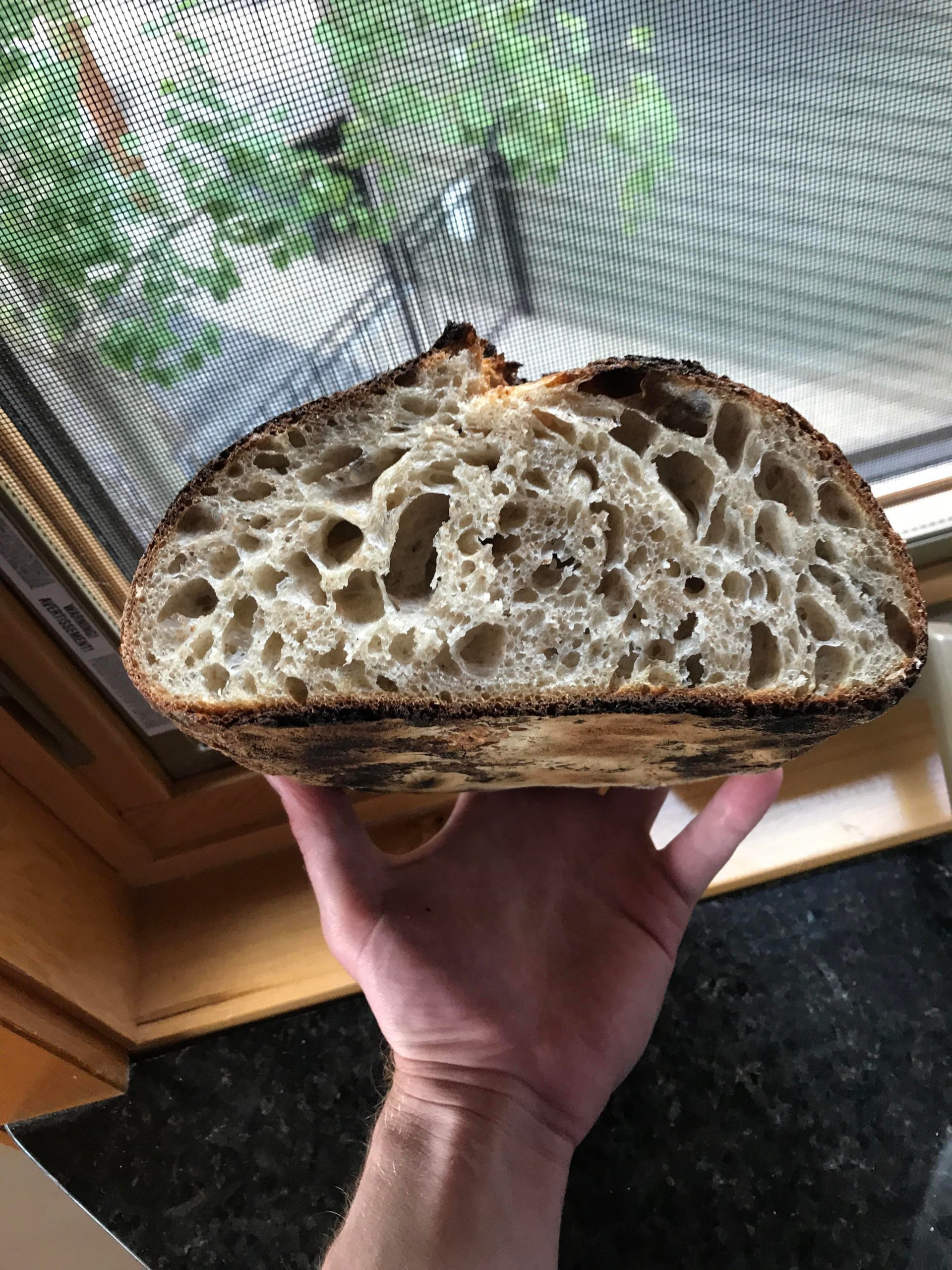 My most open crumb (sourdough) so far - Dining and Cooking