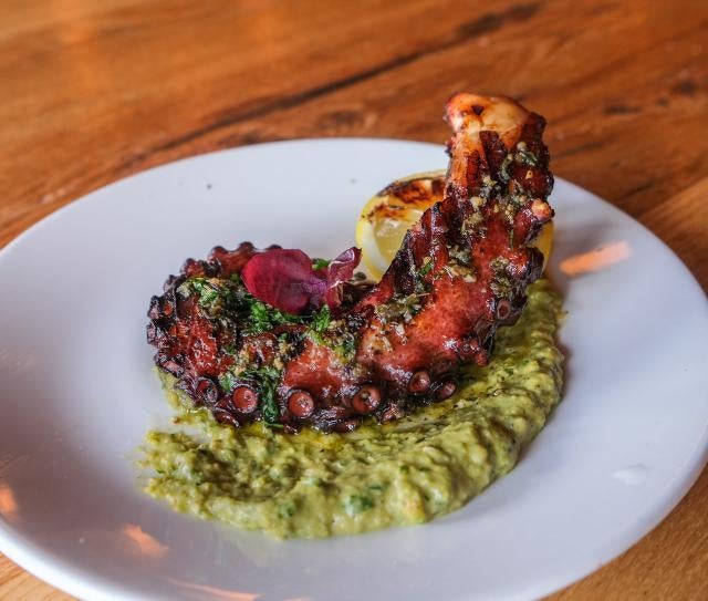 Grilled Spanish Octopus, Green Romesco, Taragon Gremolata - Dining and ...