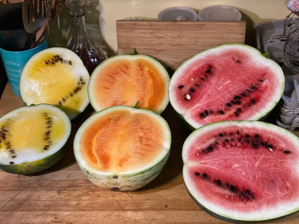 Watermelon season. Janosik, Orange Crush, Moon and Stars. - Dining and ...