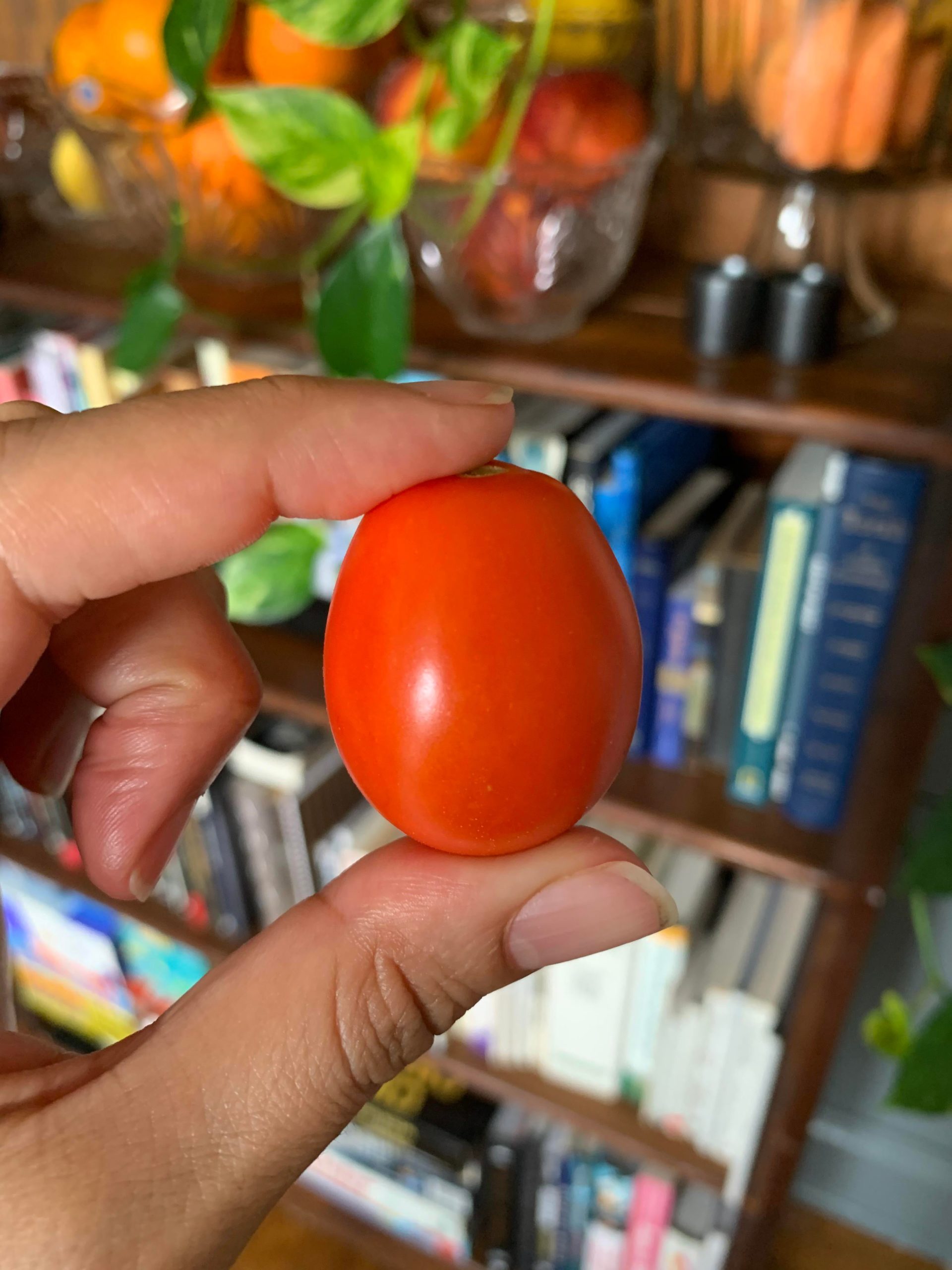 Finally a perfectly red tomato! Thank you for the suggestion of ...