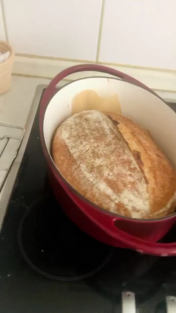 Capybara bread passing thru your timeline to make you happy (not mine ...