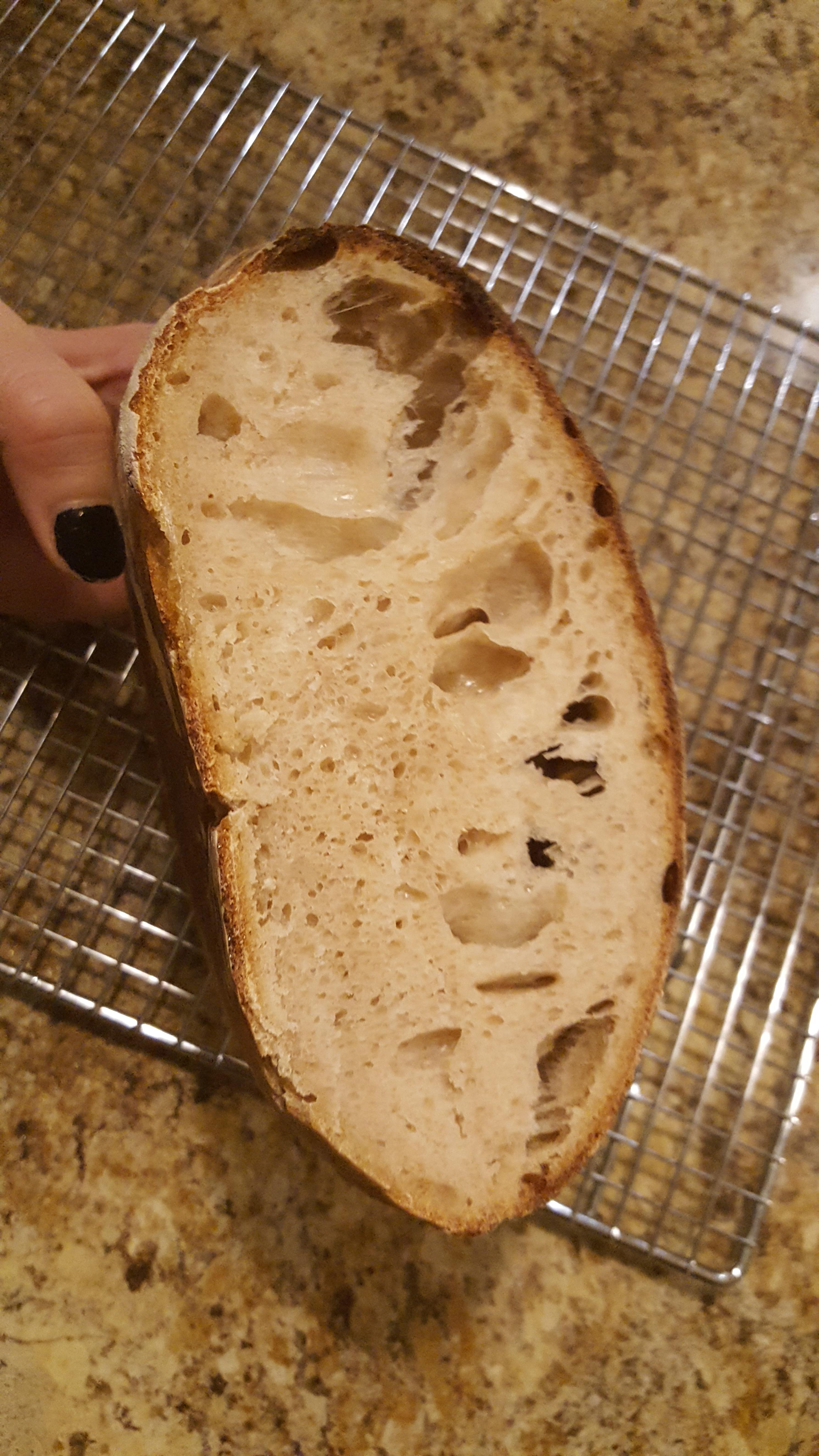First ever sourdough came out rubbery with giant holes. How can i make ...