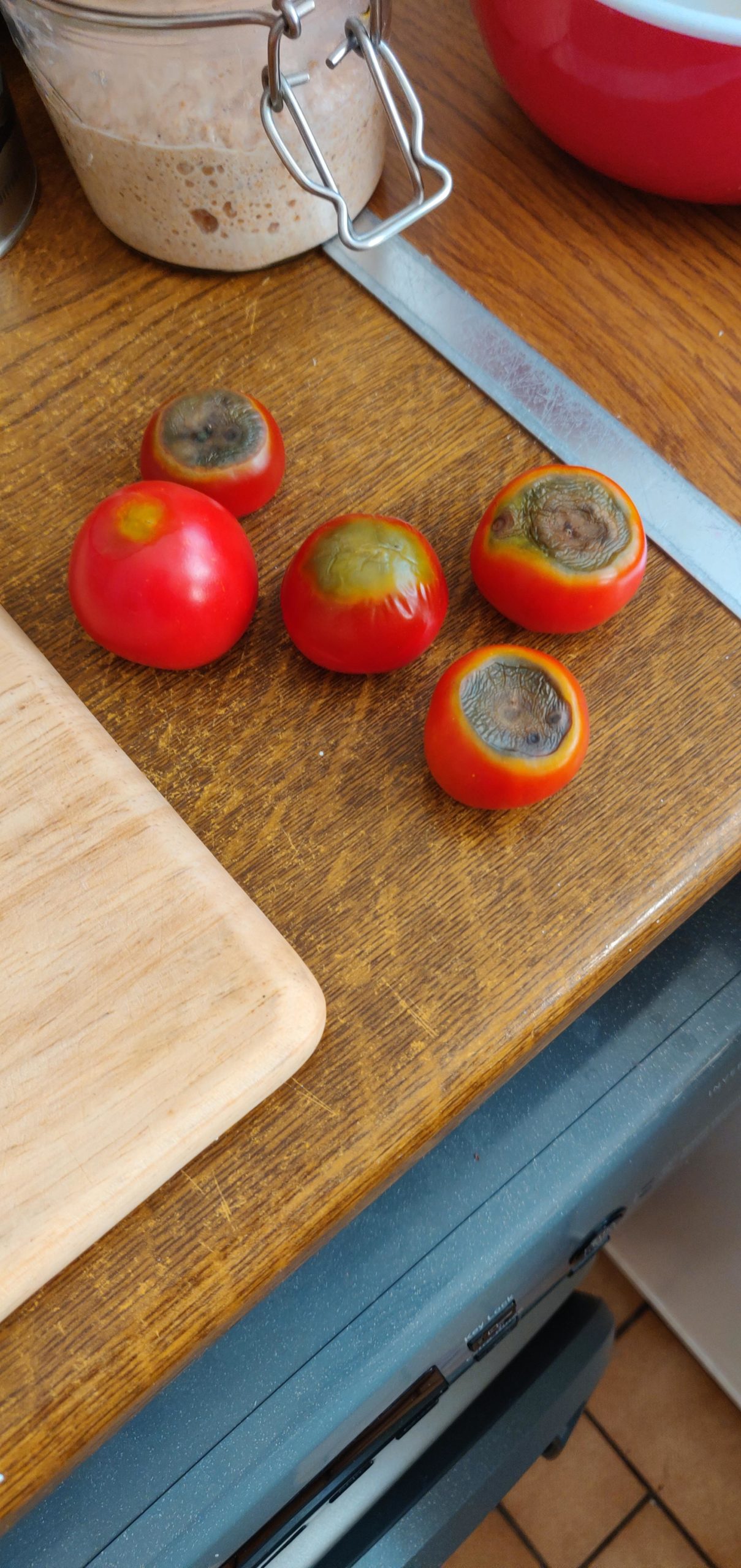 Can anyone help with why my tomatoes have rotten bottoms? - Dining and ...