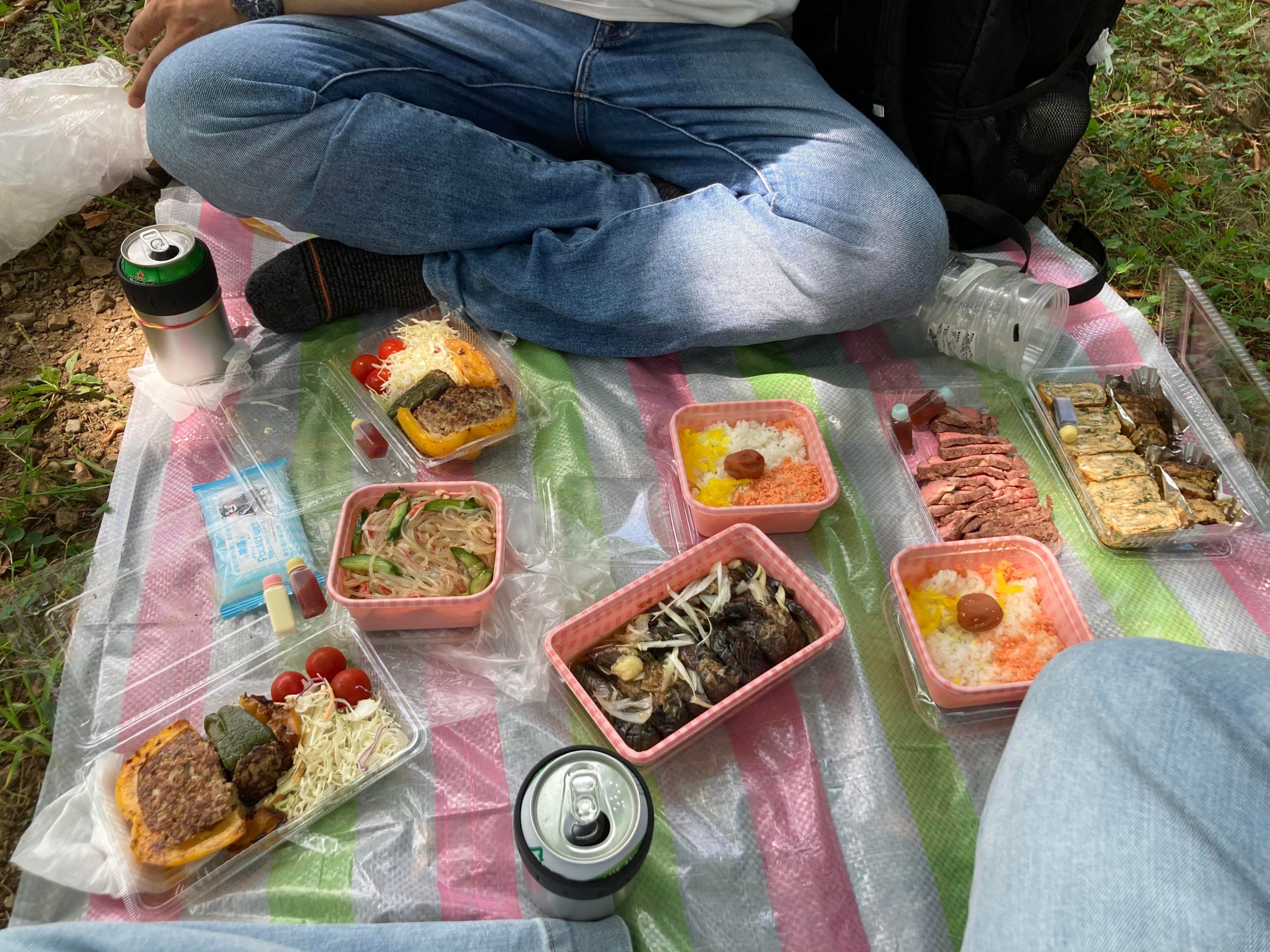 Homemade (including roast beef) picnic stuff - Dining and Cooking
