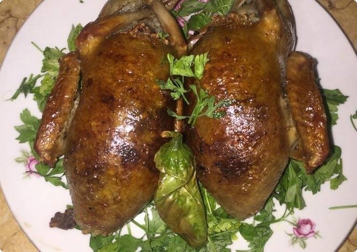 Pigeons - Dining and Cooking