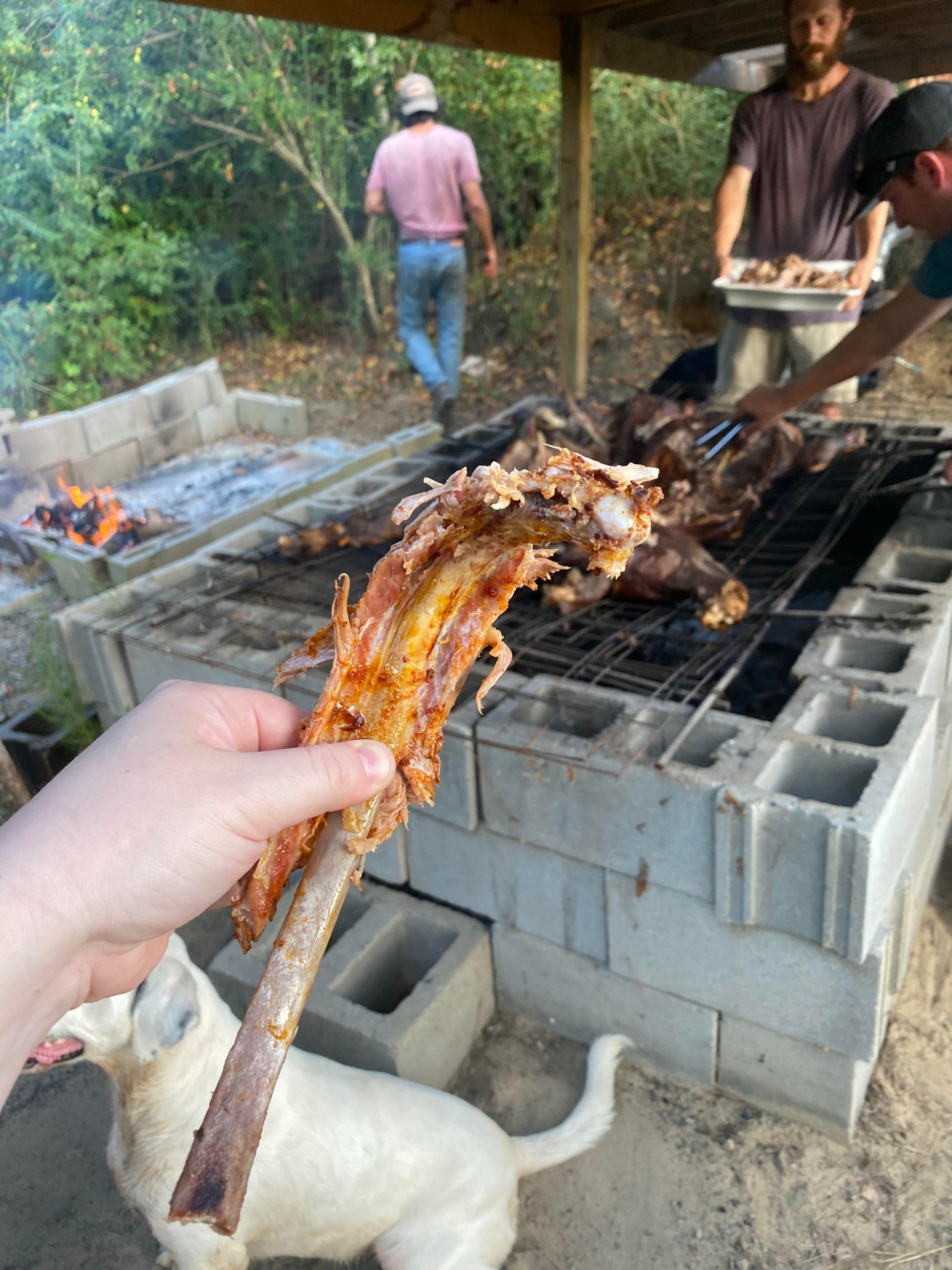 A rib- straight off the pig - Dining and Cooking