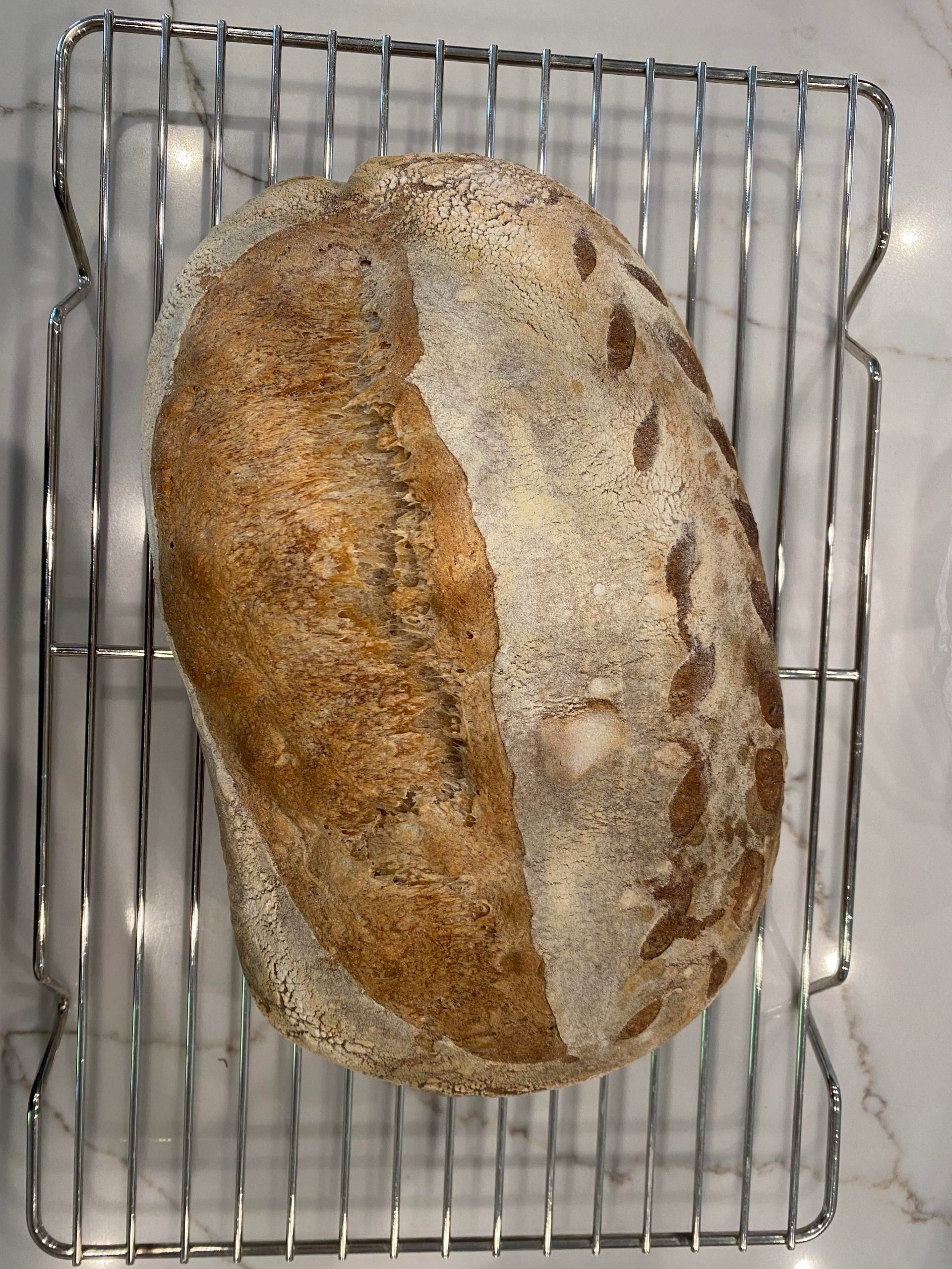 Mom’s sourdough, all from scratch (including her own starter)! Third ...