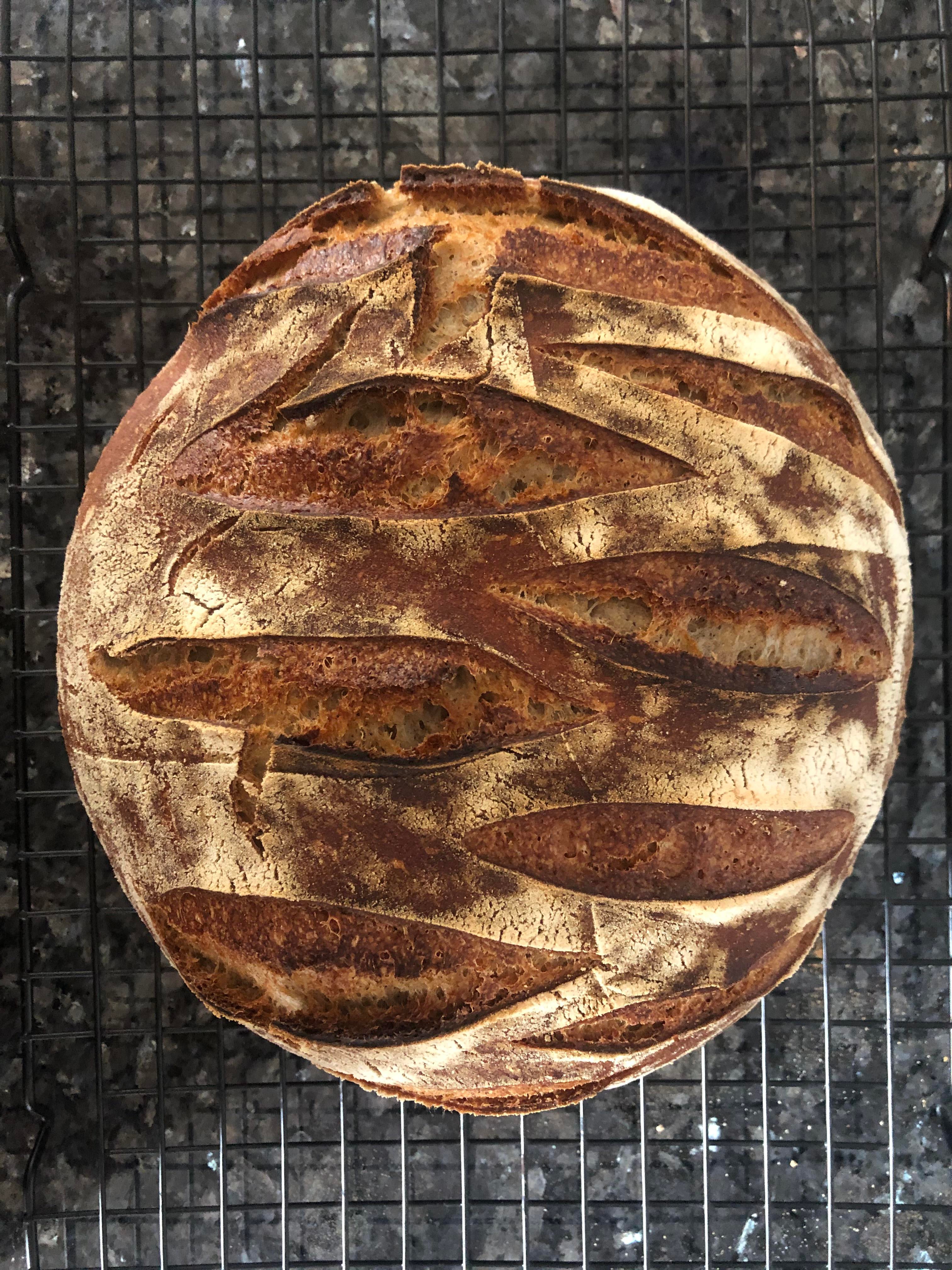 Levain mix of white, wheat, white & dark rye and buckwheat flour ...