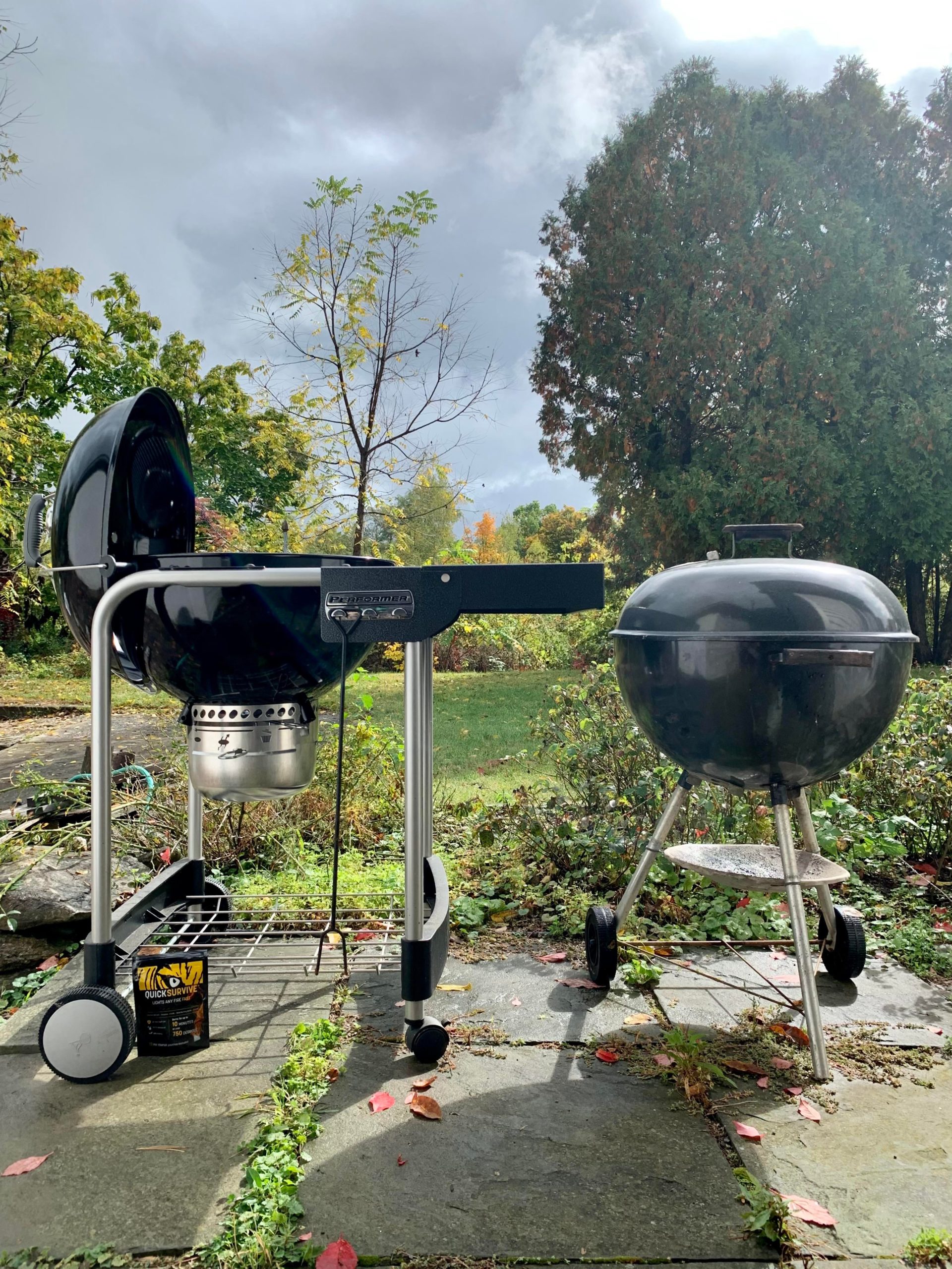 30 Year Old Classic Weber Meet Weber Performer Series - Dining and Cooking