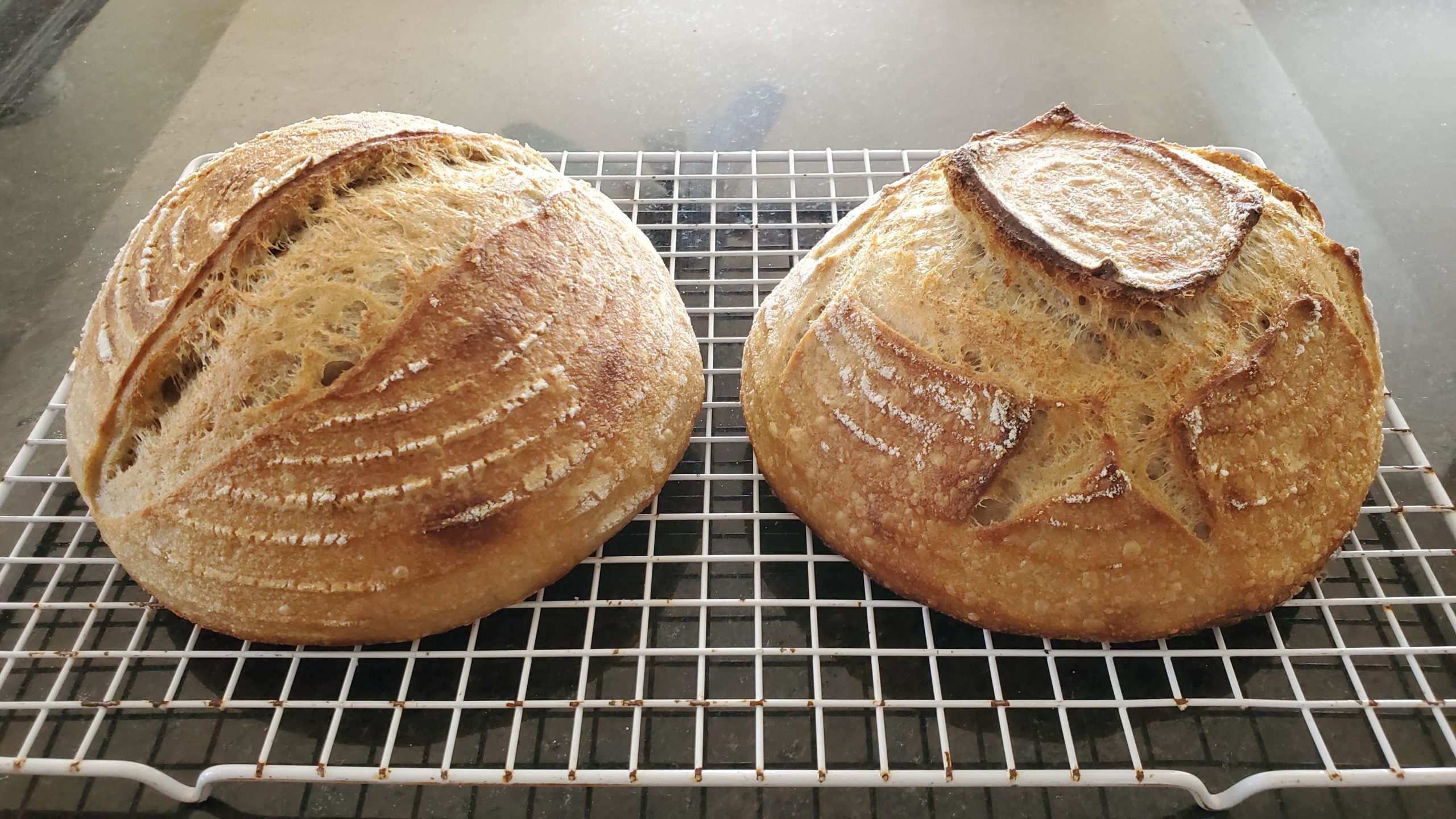 holla for some challah~ [my second attempt came out nicer than the ...