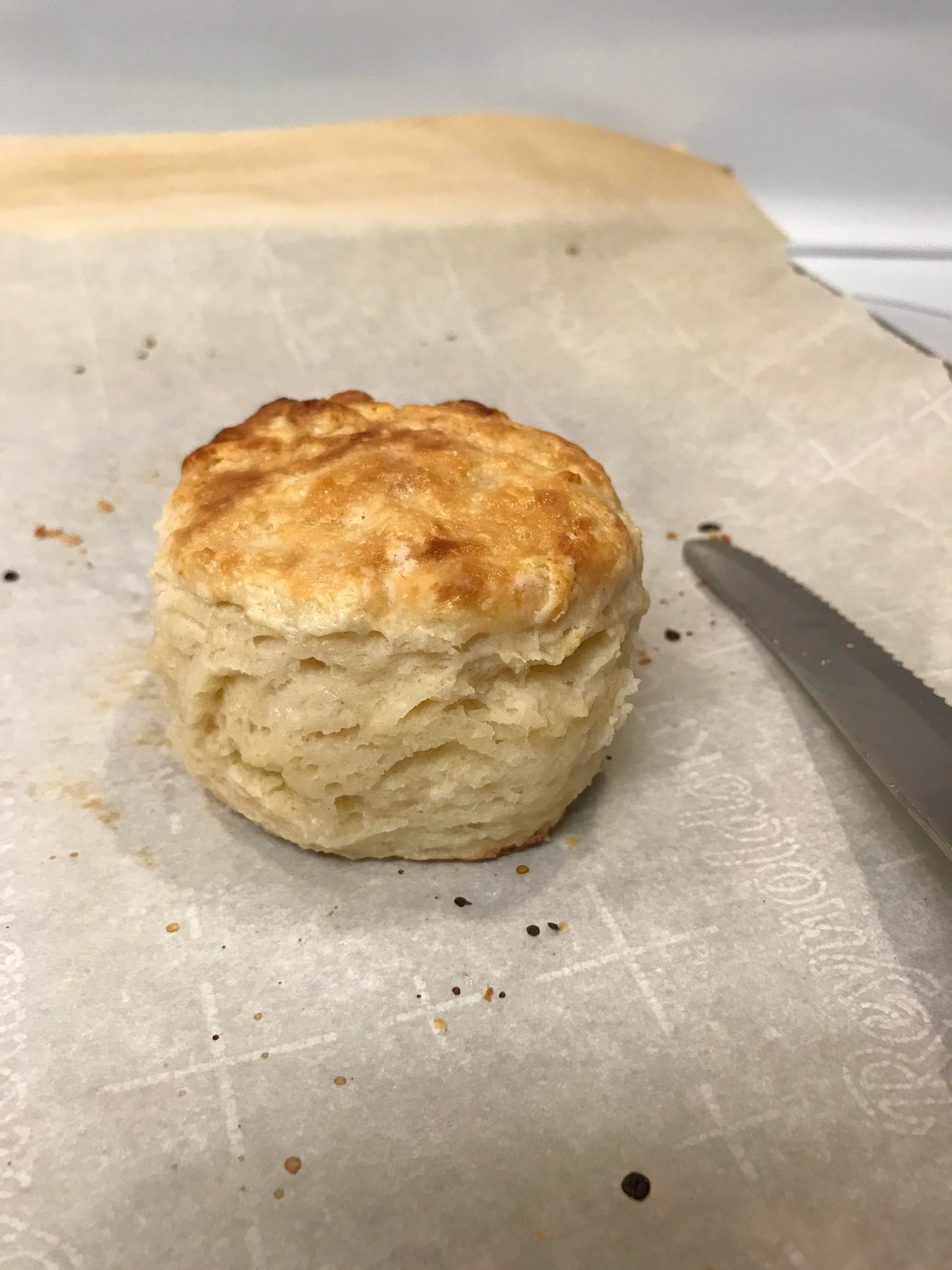 The best looking Buttermilk Biscuit I’ve made yet - Dining and Cooking