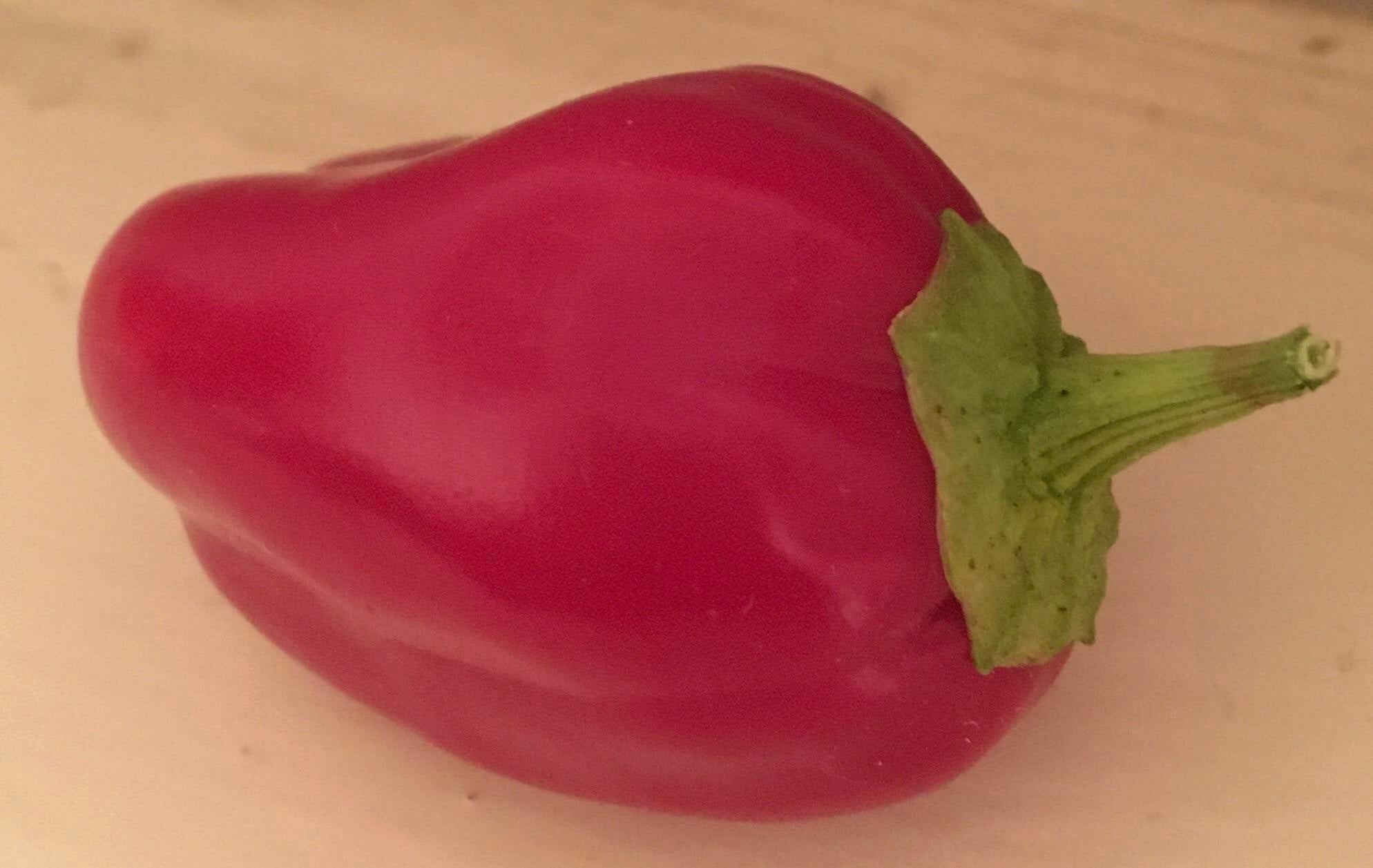 My Wife’s zombie pepper, the cold came early and it looked dead for a ...