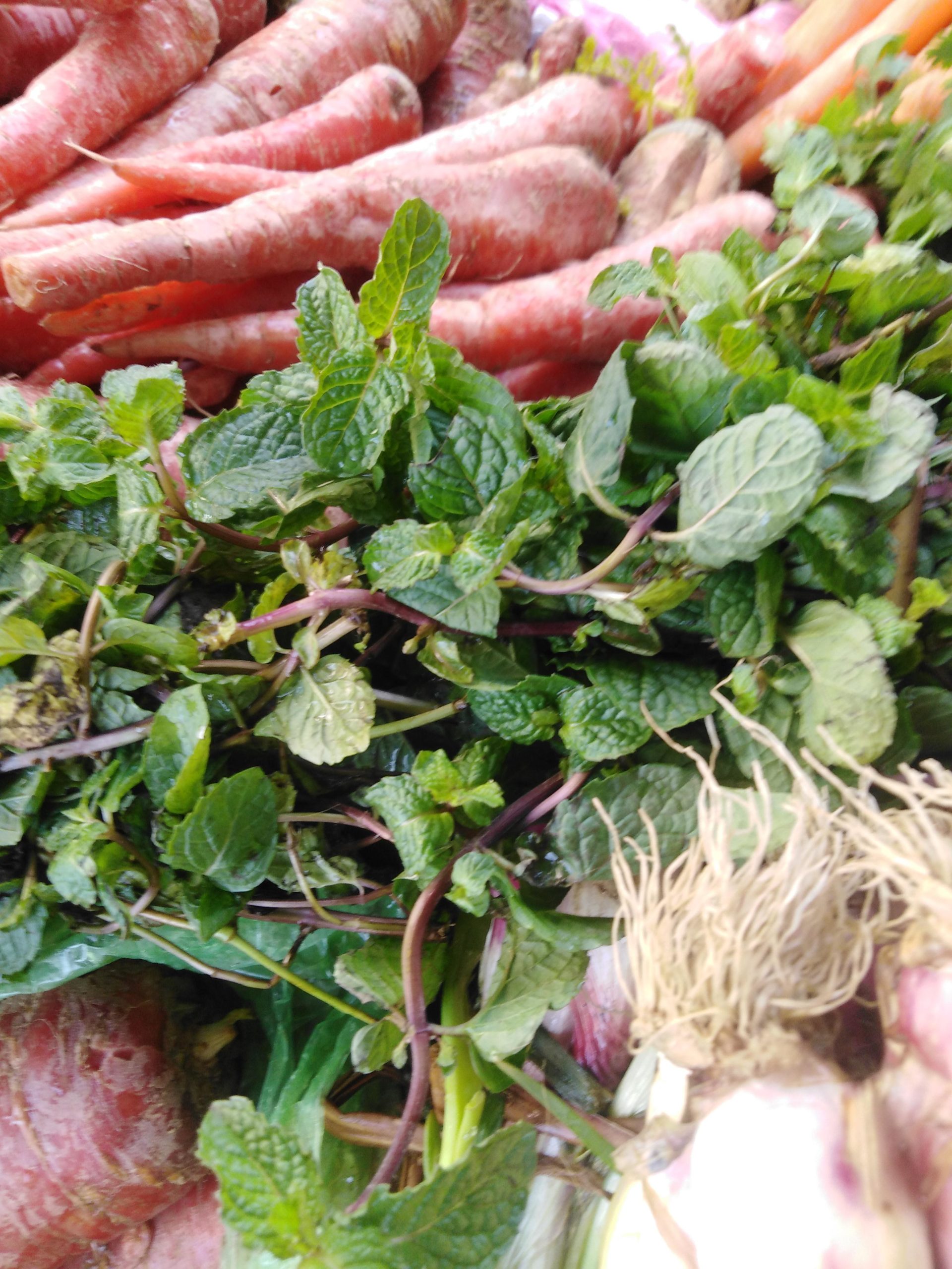 Podina and gajrain in Punjab, Pakistan. - Dining and Cooking