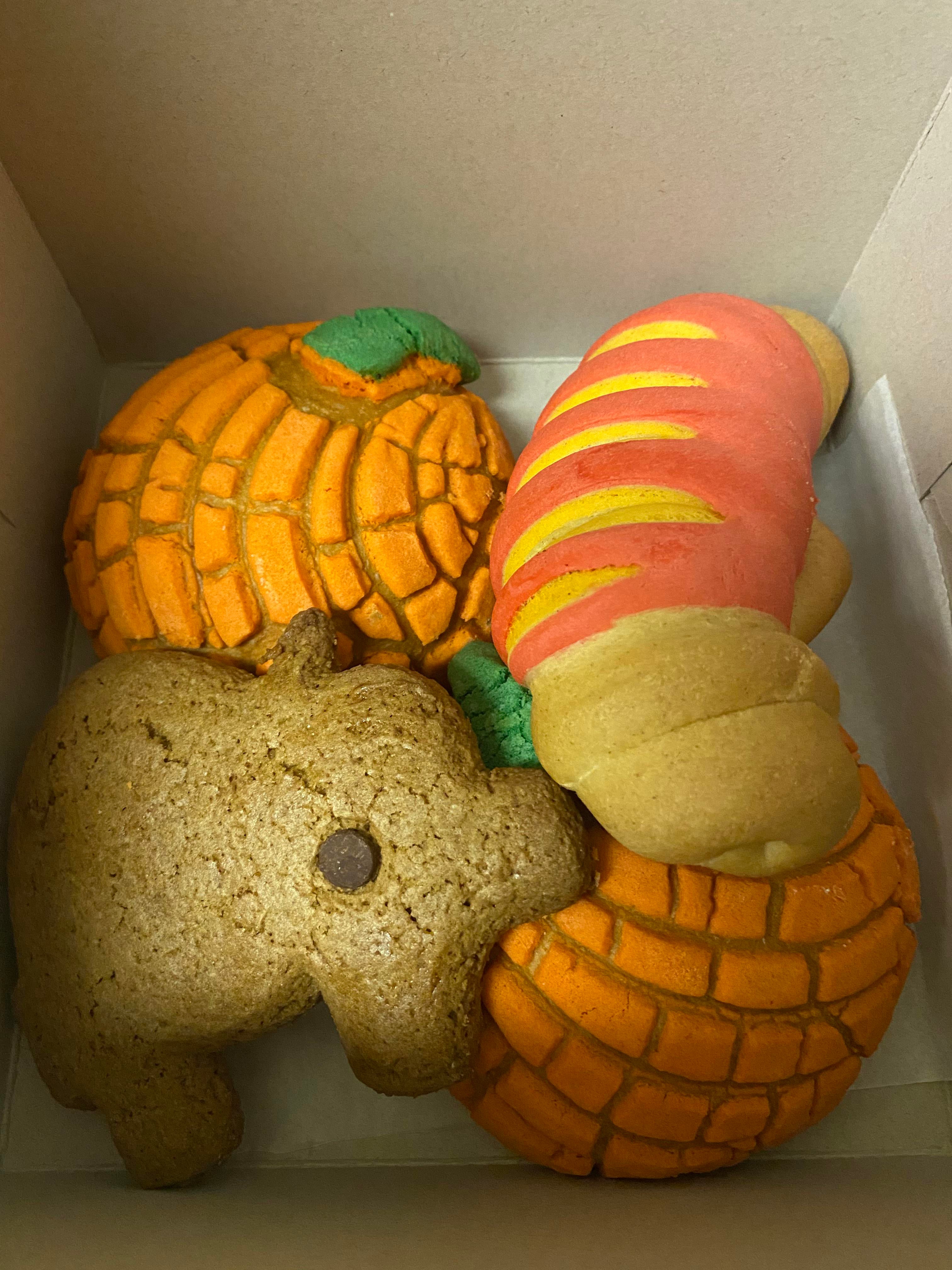 Pumpkin-shaped conchas and pan dulce for Halloween! Toluca Bakery in ...