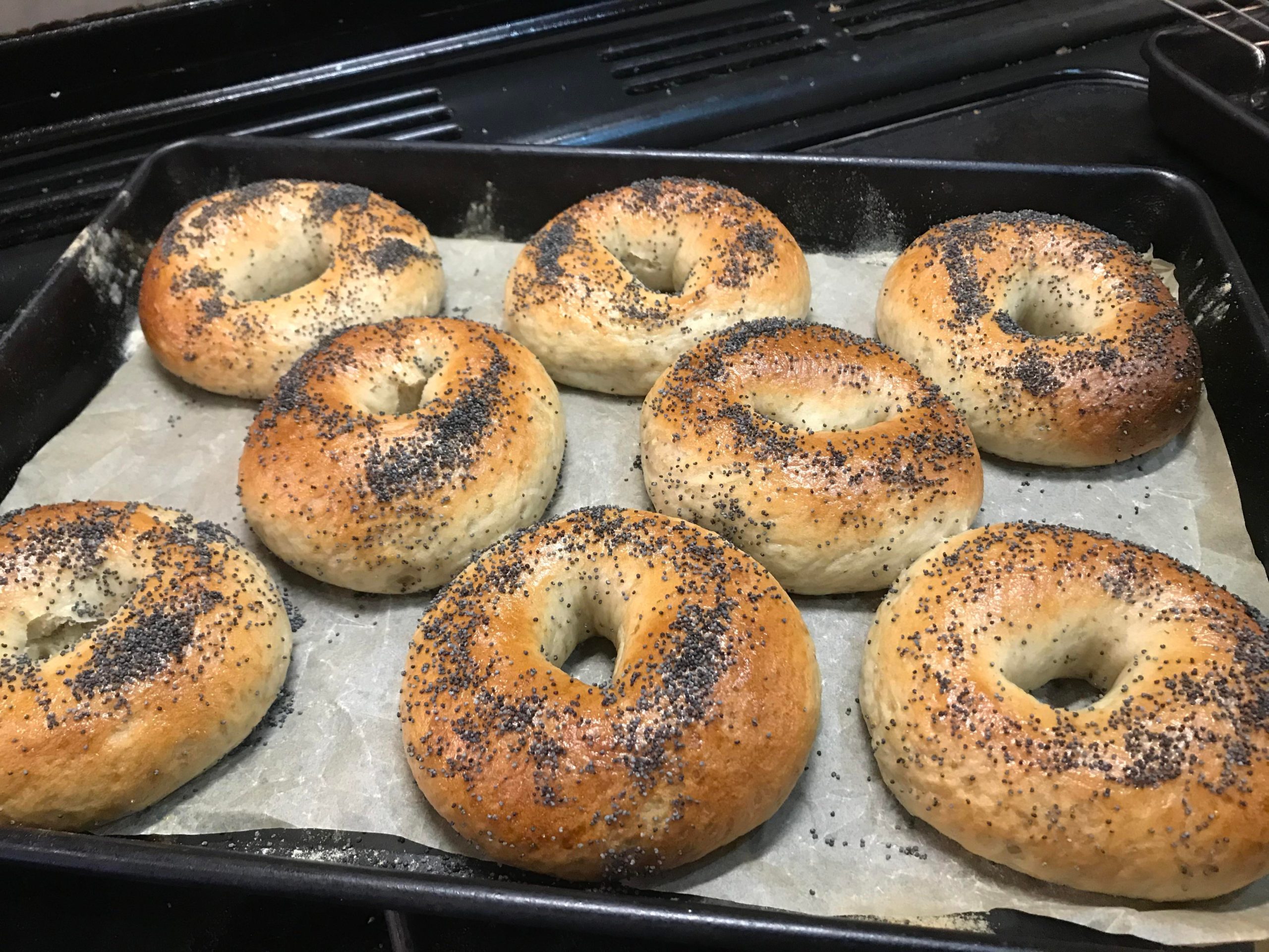 Third attempt at Bagels using sourdough discard bagels and I finally got a decent rise. - Dining ...