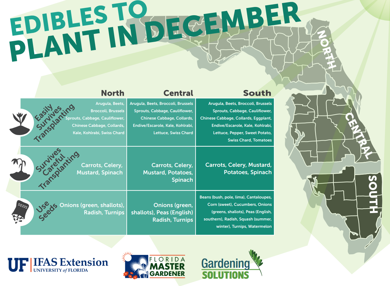 UF IFAS guide for vegetable planting in Florida - Dining and Cooking