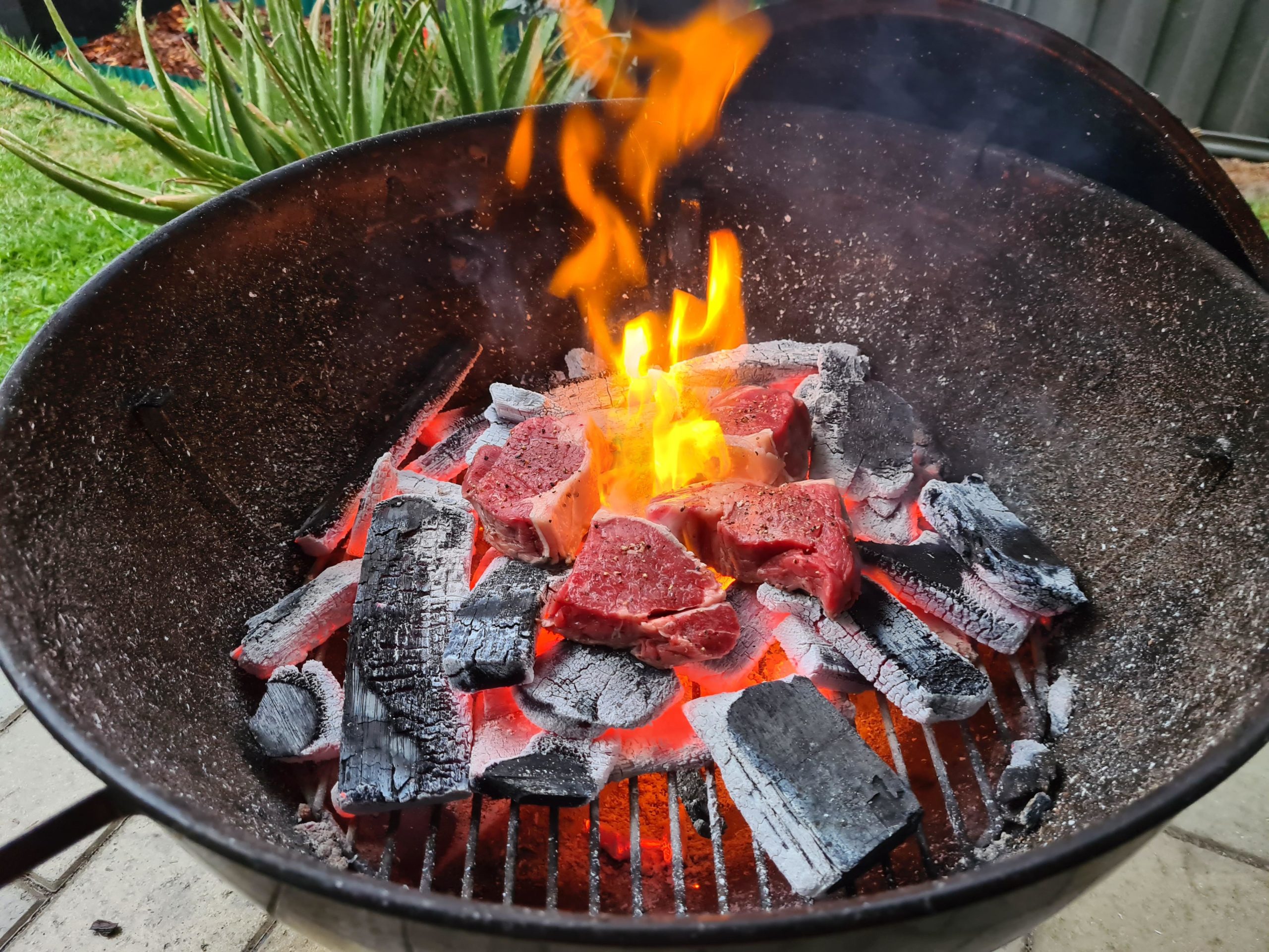Porterhouse Steak, Caveman style - Dining and Cooking