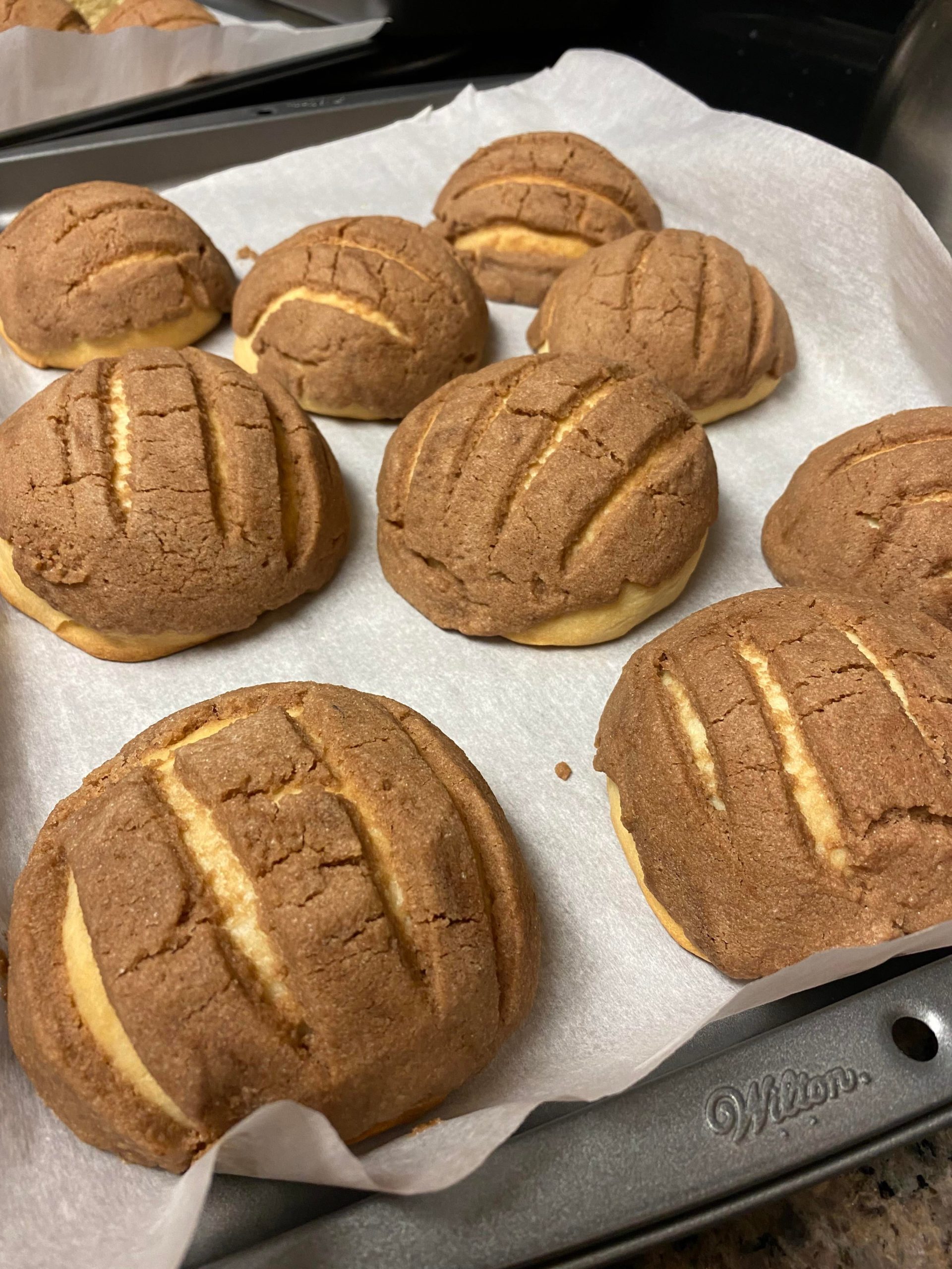 Conchas Mexican sweet bread - Dining and Cooking
