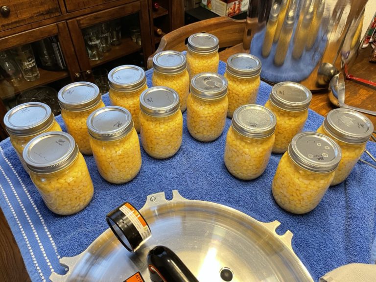 14 pints of fresh Indiana sweet corn! - Dining and Cooking