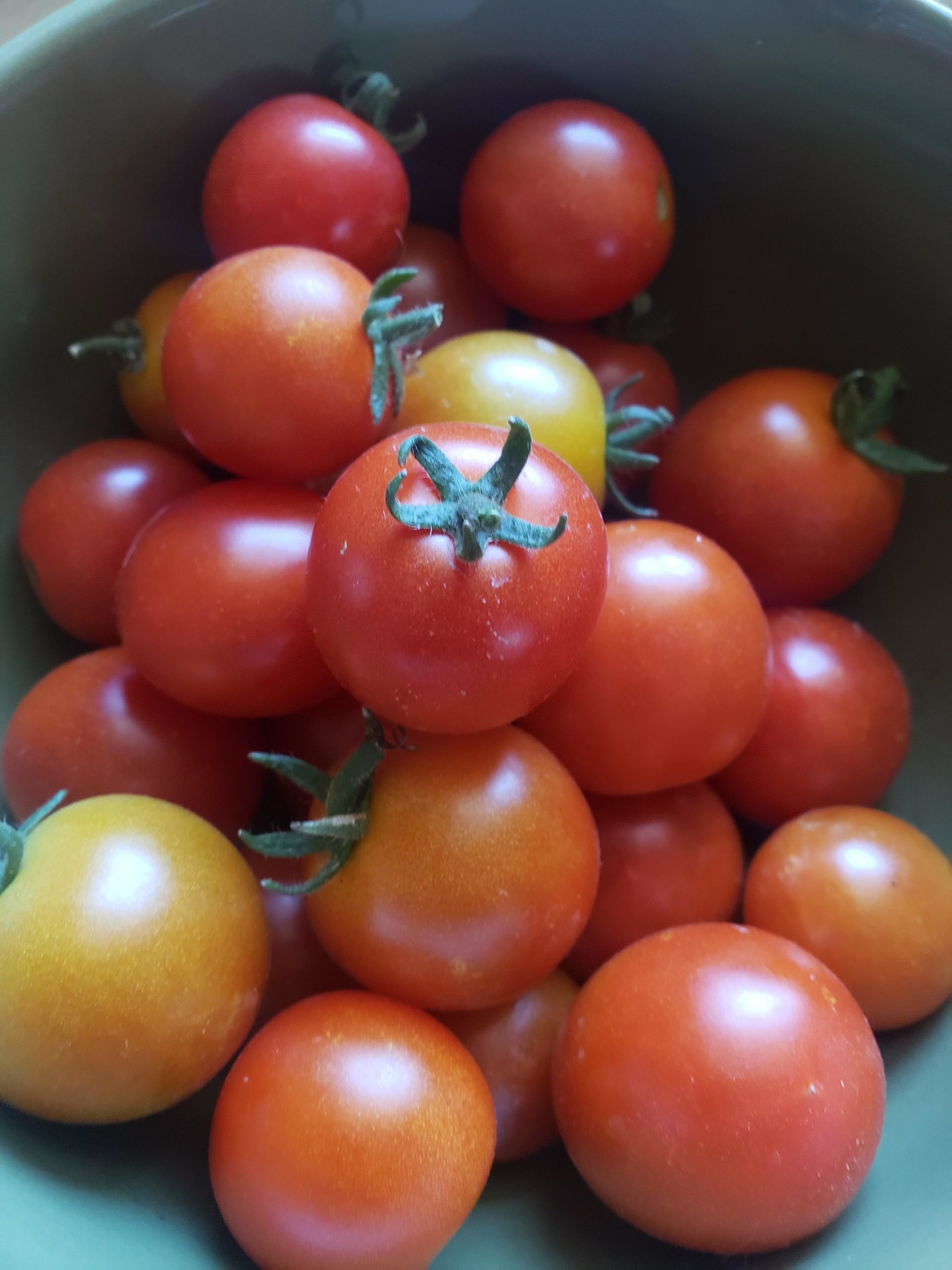 Any love for snacking tomatoes? - Dining and Cooking