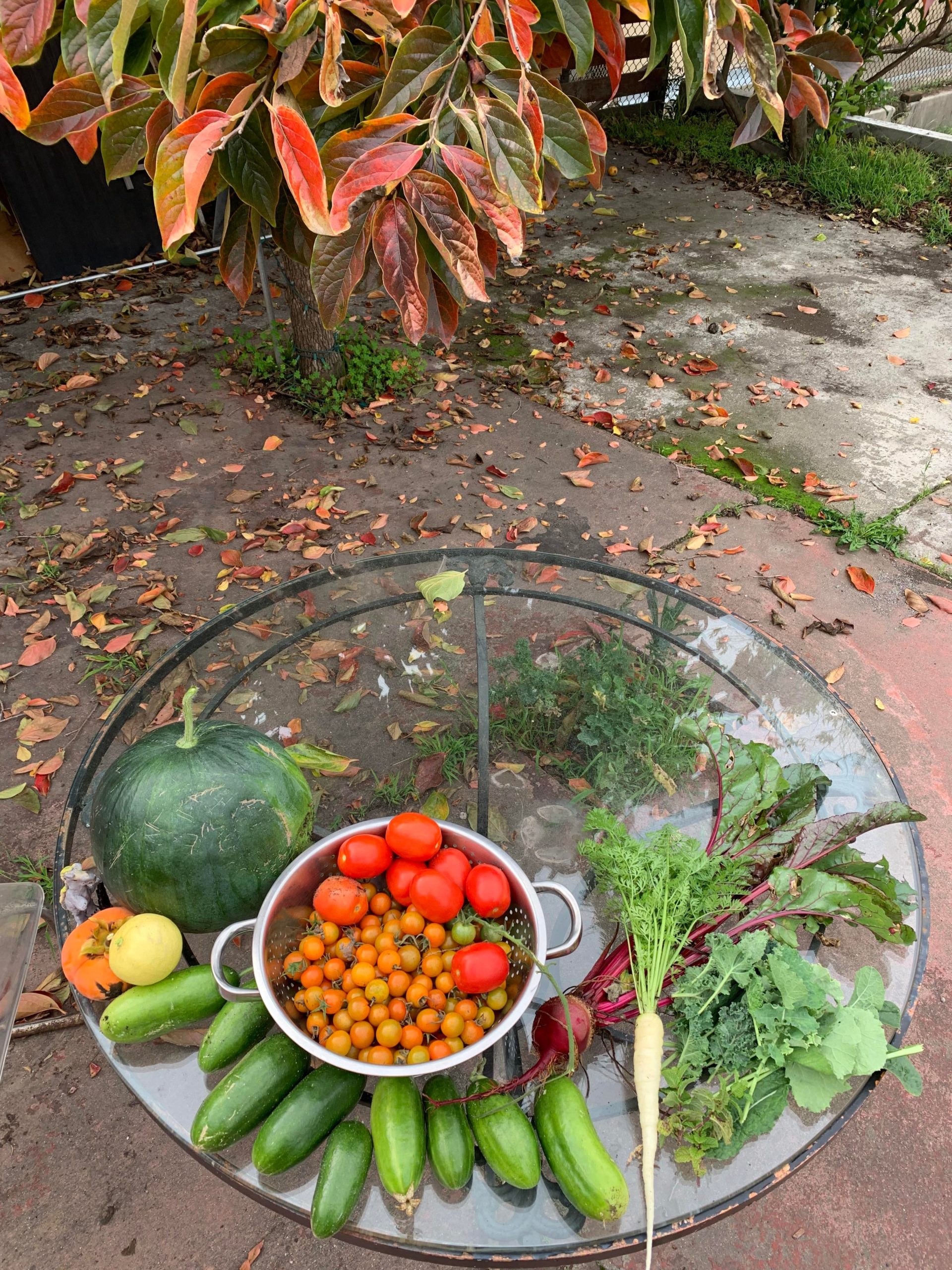 We’ll see how the watermelon turns out, pretty late in the season ...
