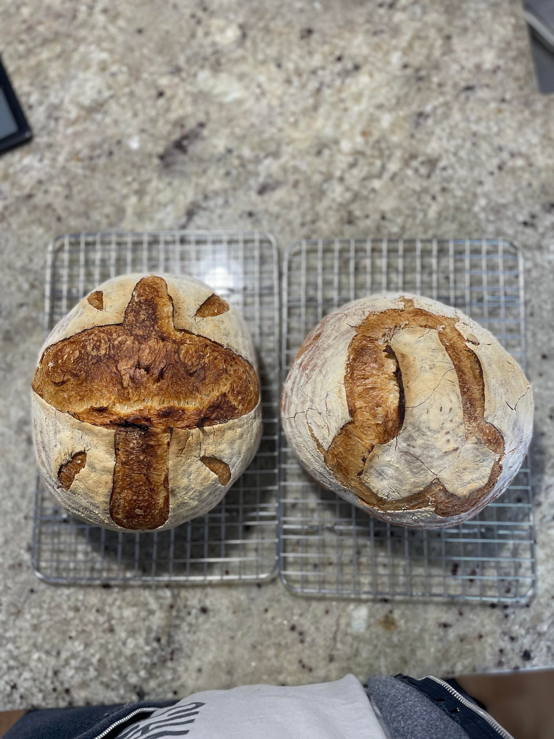 Practicing my scoring technique. - Dining and Cooking