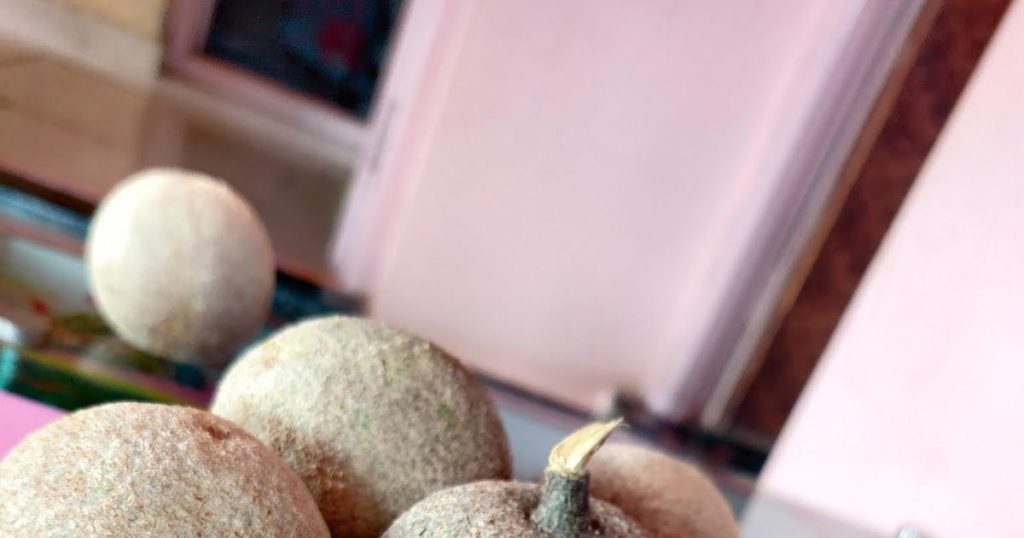 Kavath(wood apple) - Health benefits, application, chemical ...