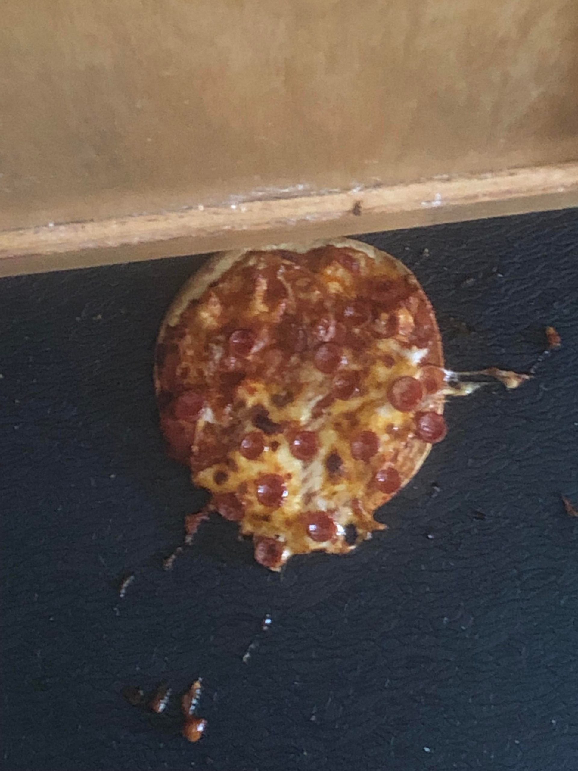 I made a mini pizza then dropped it. Then I went to eat some grapes and ...