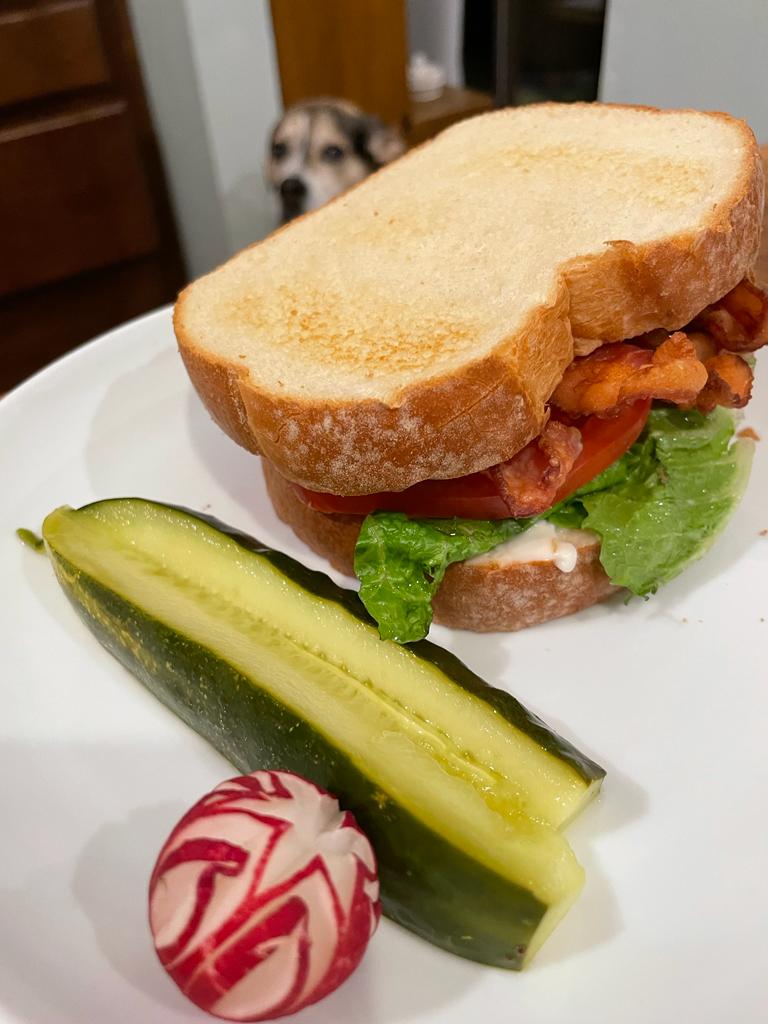 BLT, pickles, and a wilty fancy radish. - Dining and Cooking