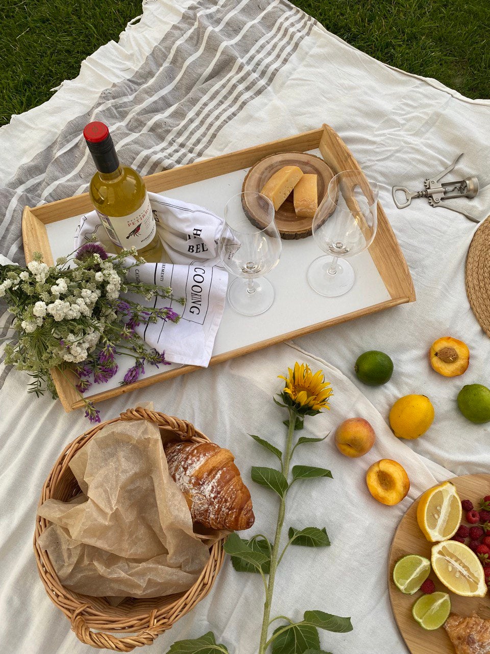 A Picnic with 'Petirrojo' Reserva Sauvignon Blanc - Dining and Cooking