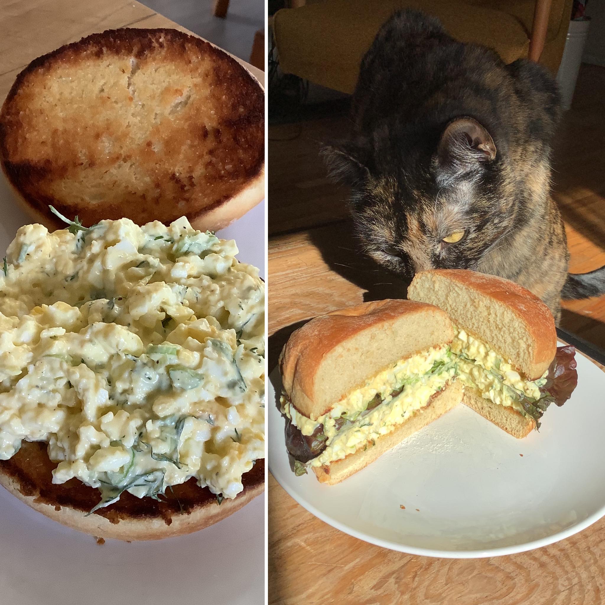 Toasted potato bun, dilly egg salad. Such a mess to eat and it was ...