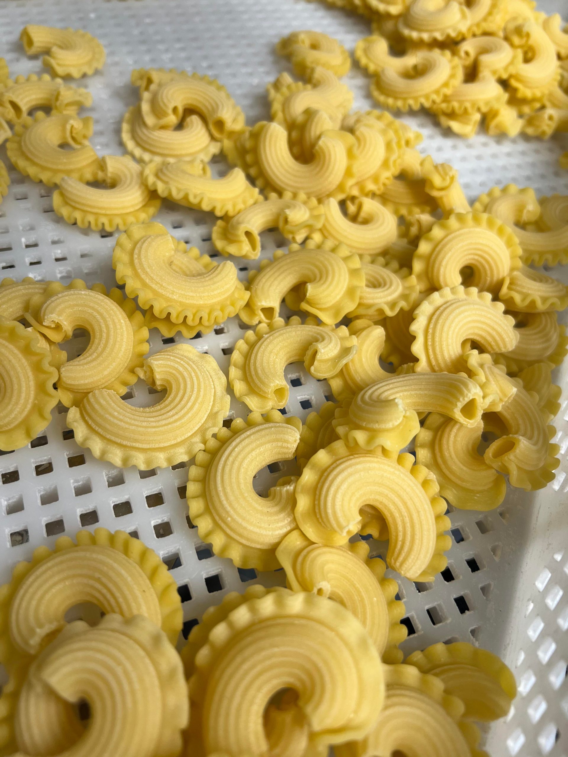 What Is The Name Of This Pasta Shape Dining And Cooking what-is-the-name-of-this-pasta-shape-dining-and-cooking