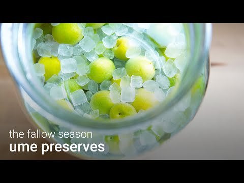 I made umeshu, ume miso and ume pickled in my homebrewed shoyu ...