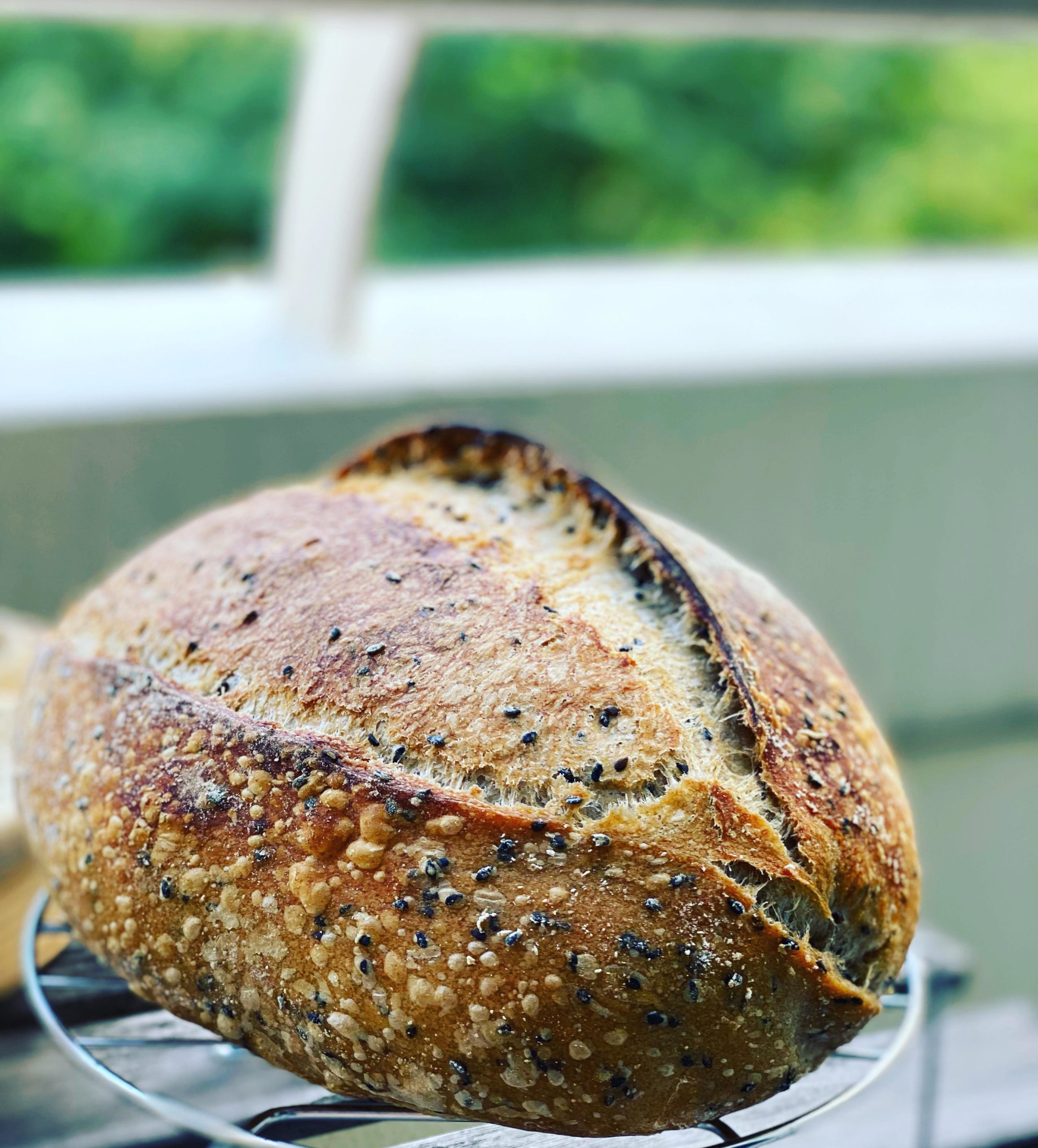 Black sesame loaf - Dining and Cooking
