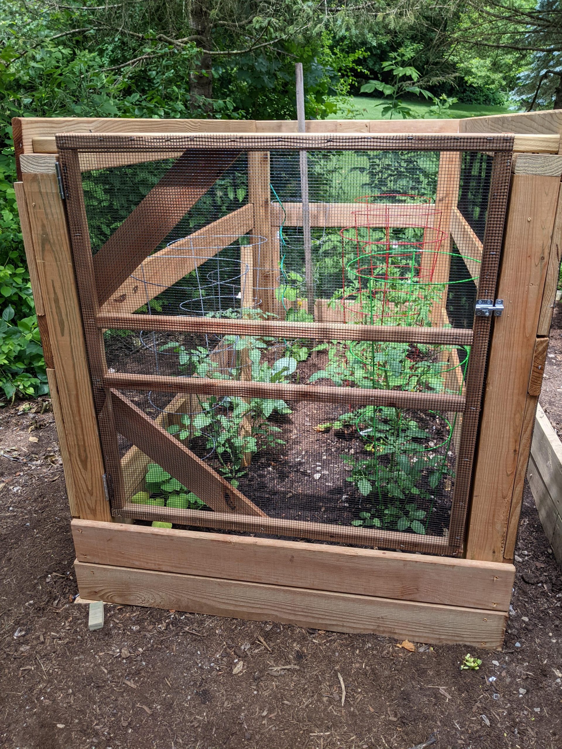 My new permanent garden fencing - Dining and Cooking