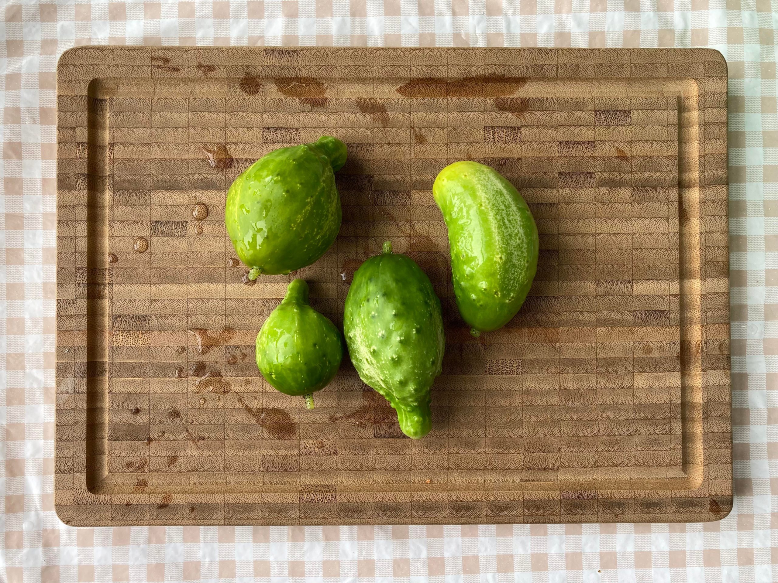 They’re fat and sort of weird-looking, but I’m still proud of my ...