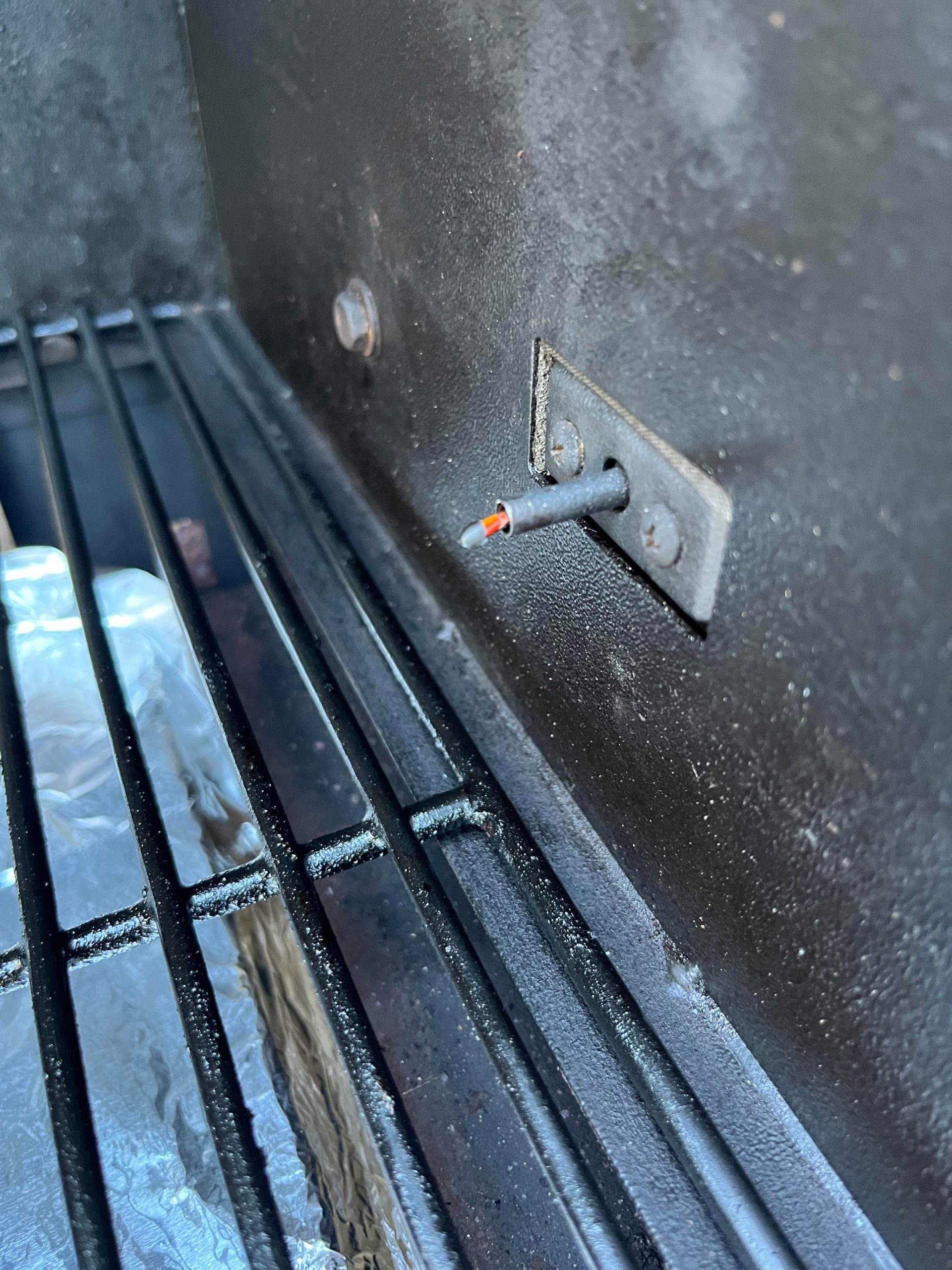 Exposed temperature wires? - Dining and Cooking