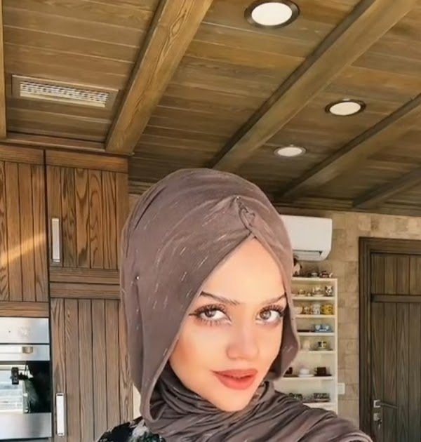 Stuffed pigeon with rice and vegetables - Dining and Cooking