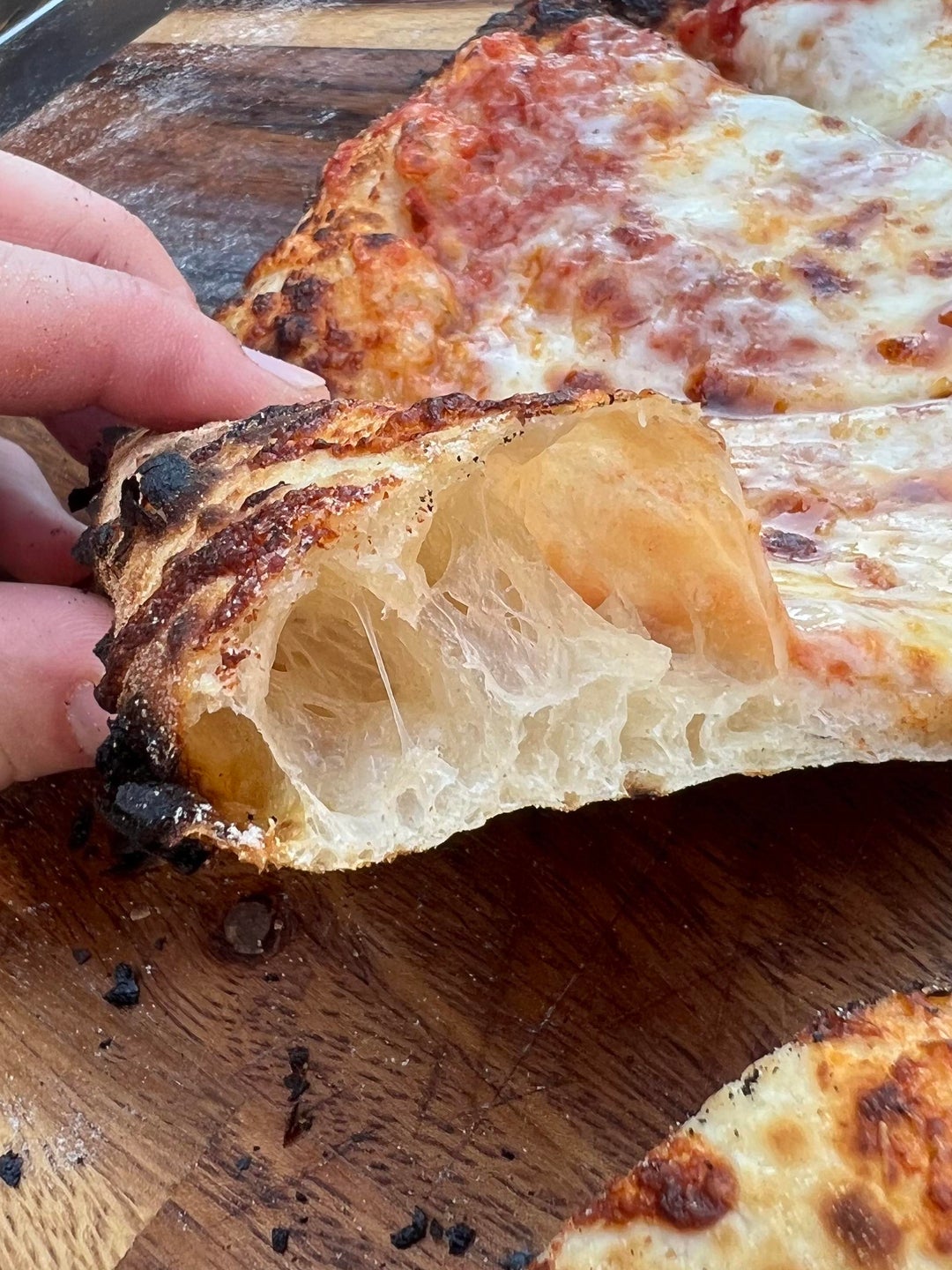 Sourdough Pizza Crumb Shots - Dining and Cooking