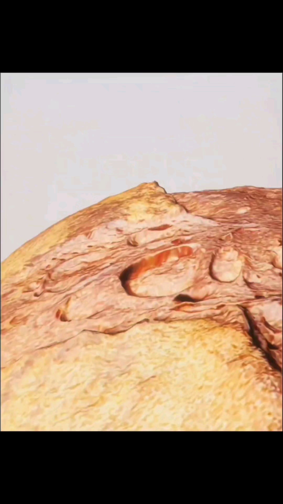 I made a 3D scan of my loaf - Dining and Cooking